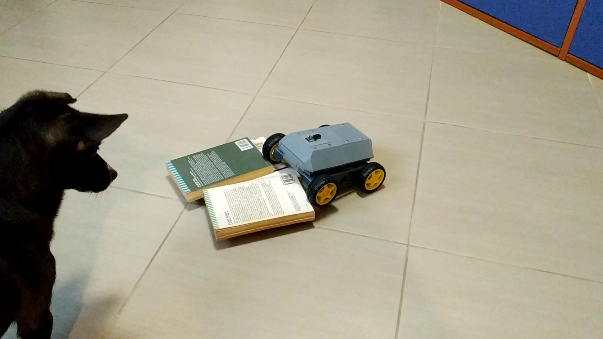 Rover Arduino (WeMos D1) Controllato Da Smartphone : 6 Steps - Instructables