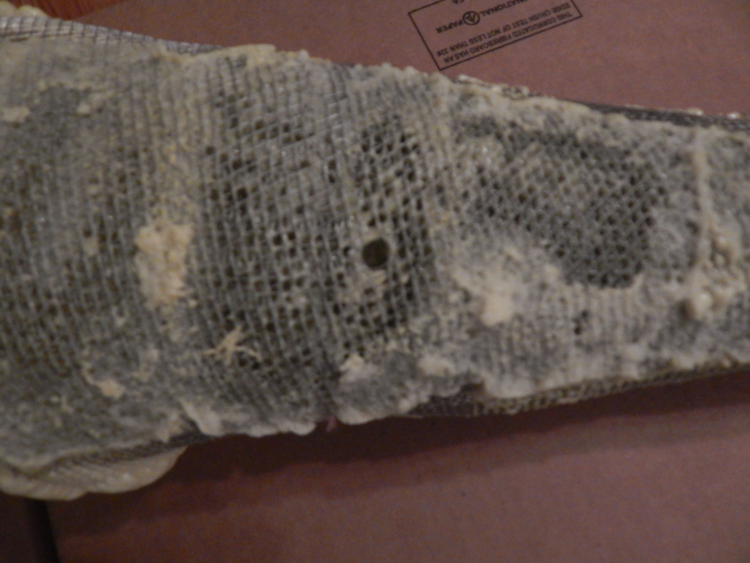 Zombie Severed Arm : 9 Steps - Instructables