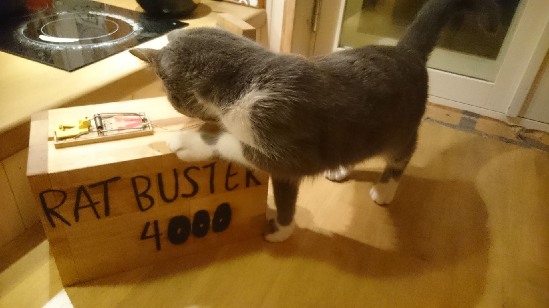 RATBUSTER 4000 : 5 Steps (with Pictures) - Instructables