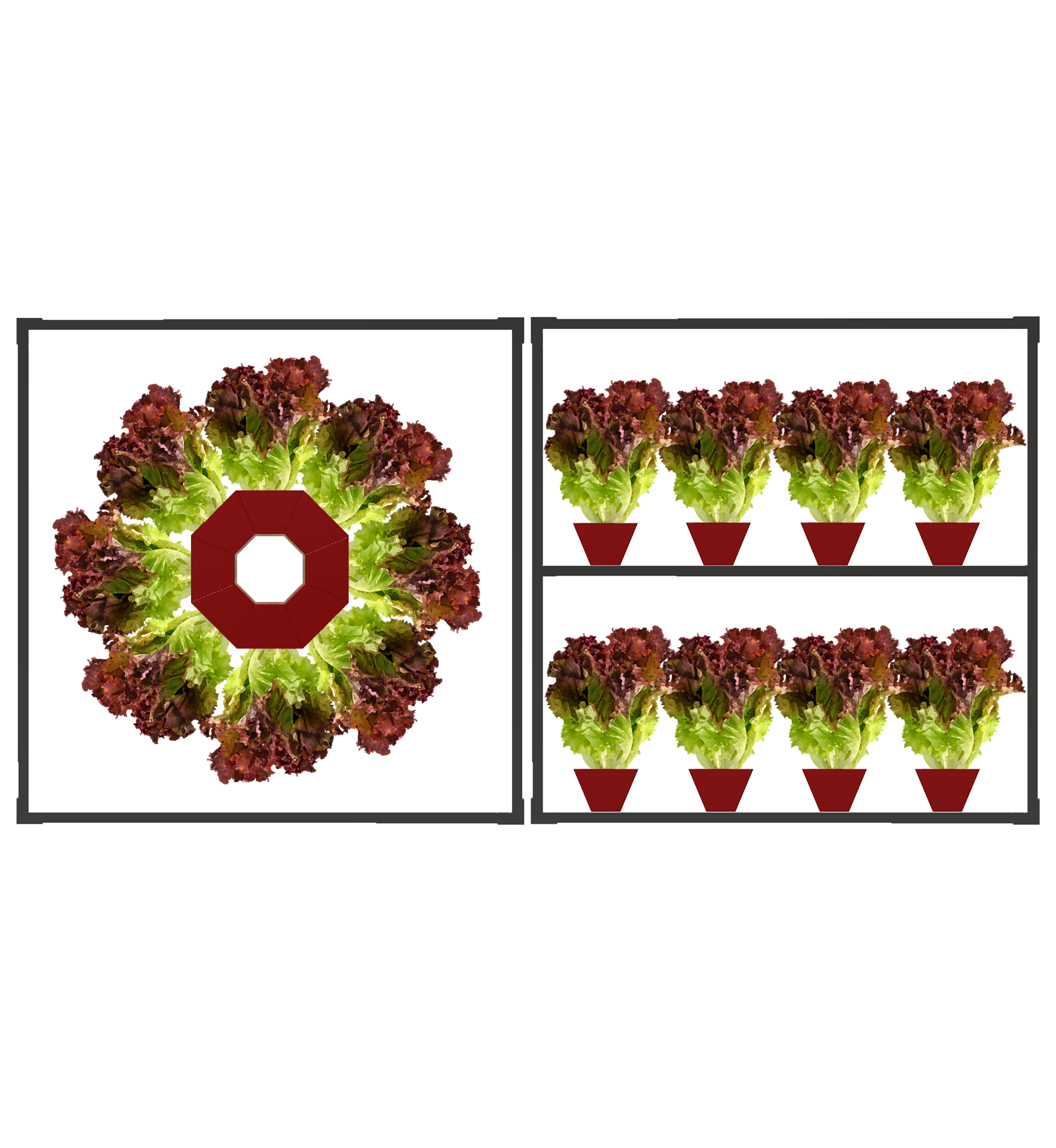 SeedShuttle - Growing Beyond Earth : 8 Steps - Instructables