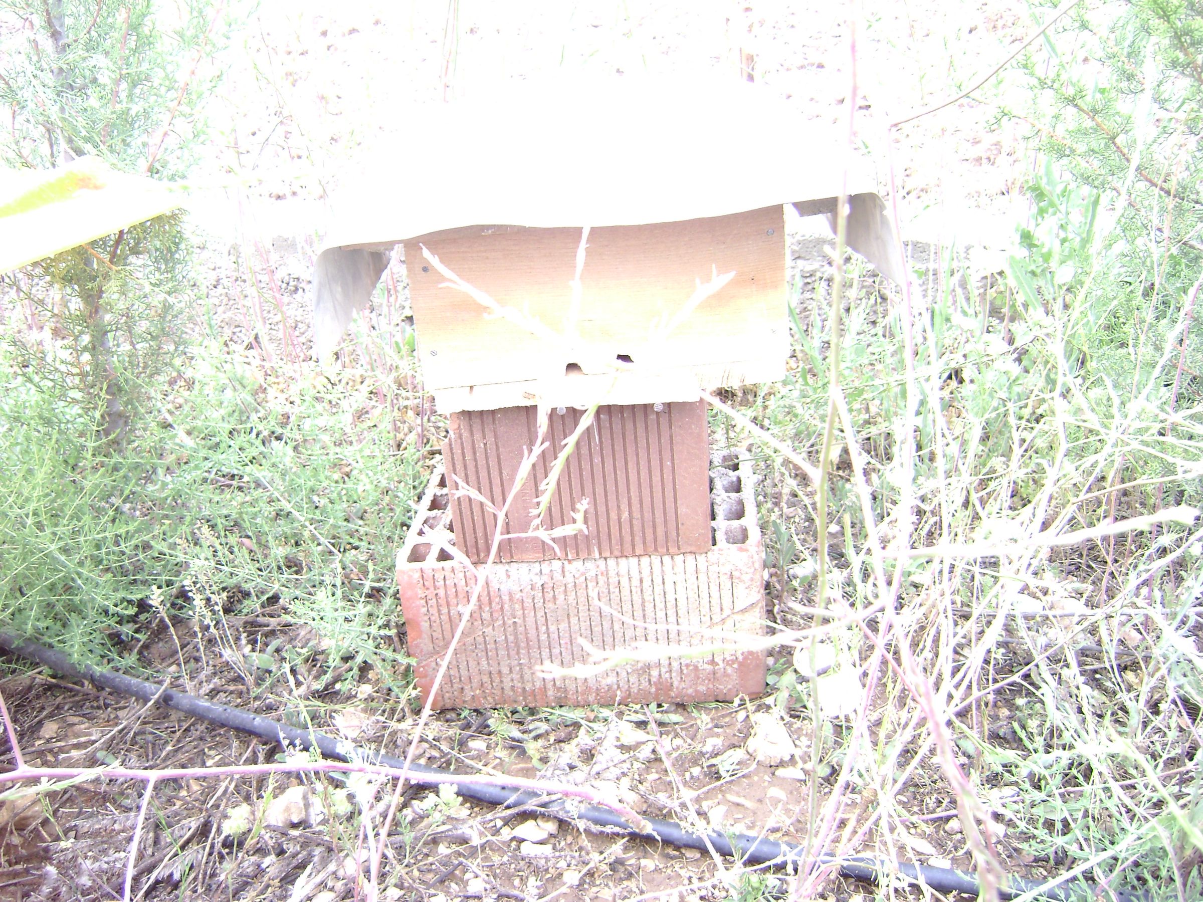 An Emergency Bee Hive : 6 Steps - Instructables