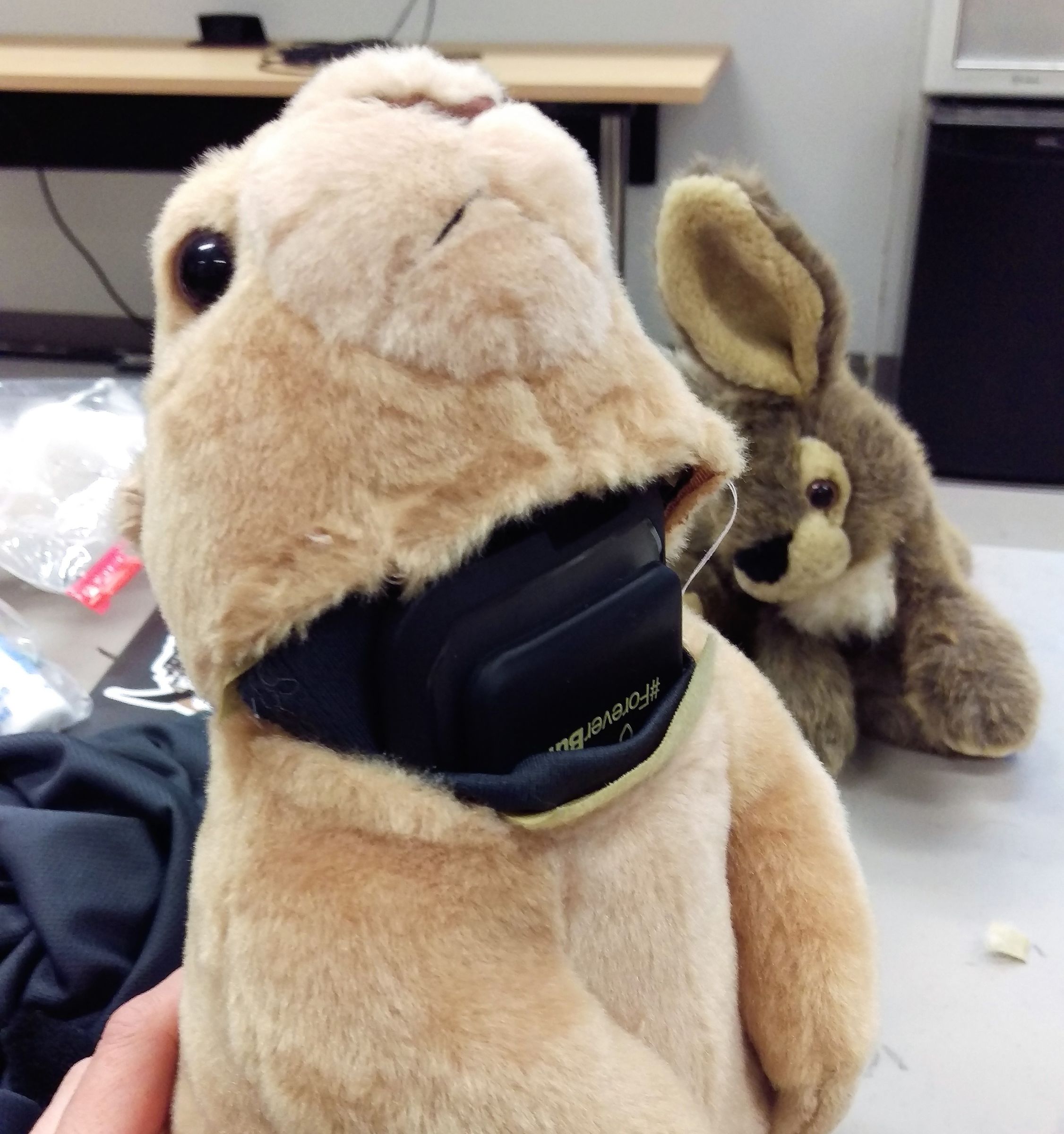 DIY Interactive Stuffed Animal : 7 Steps (with Pictures) - Instructables