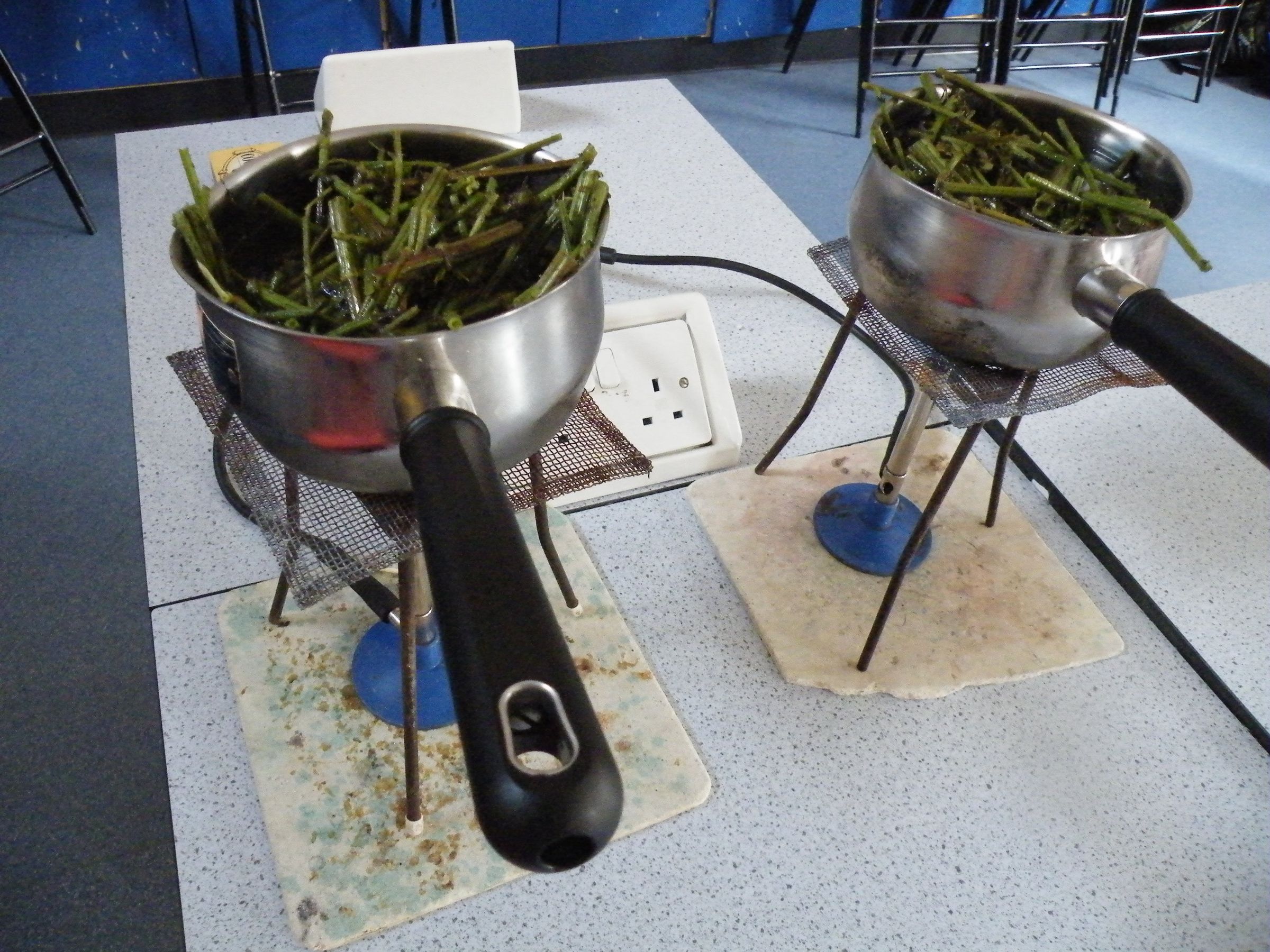 How to Make Paper : 15 Steps (with Pictures) - Instructables