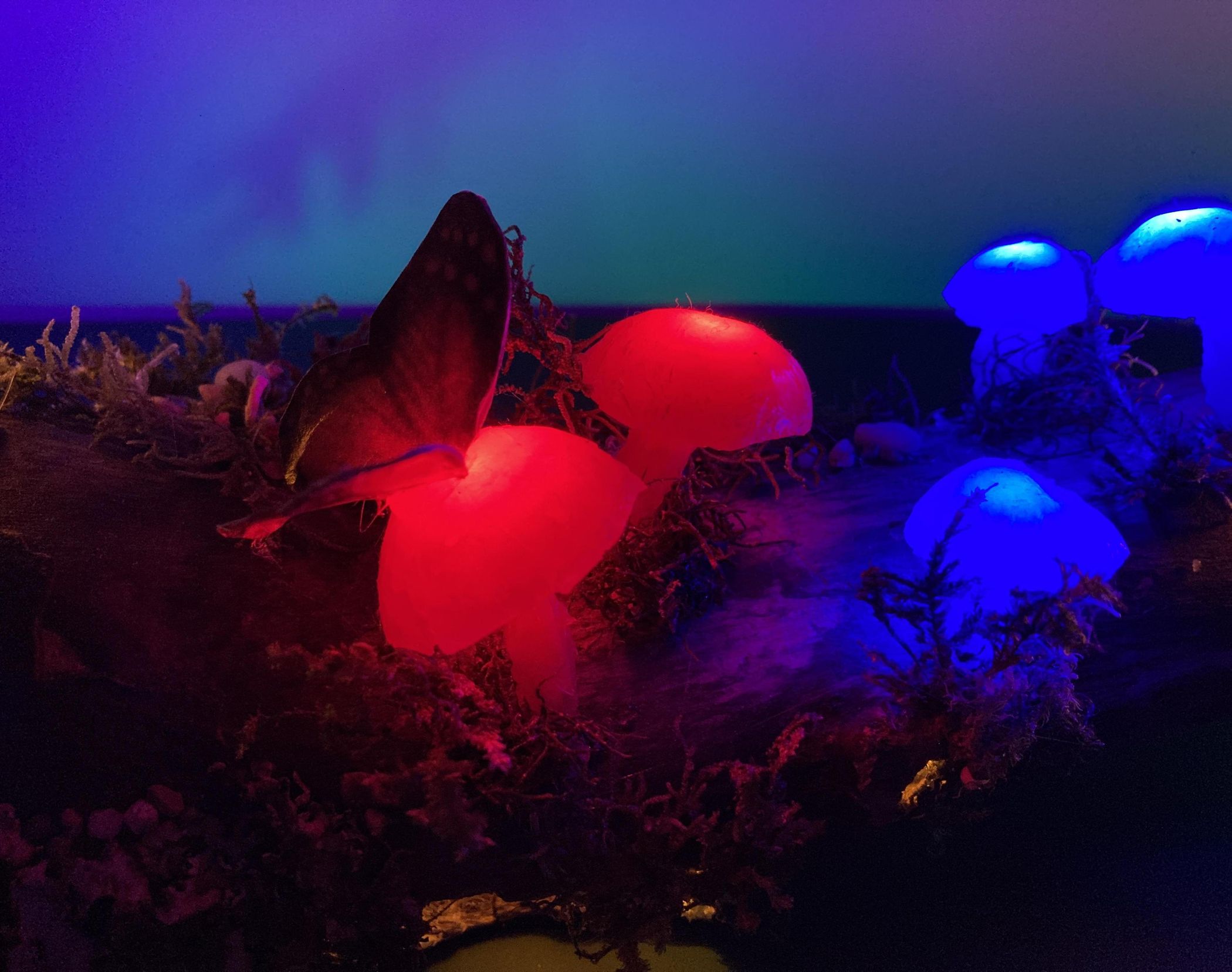 Glowing Mushrooms : 4 Steps - Instructables