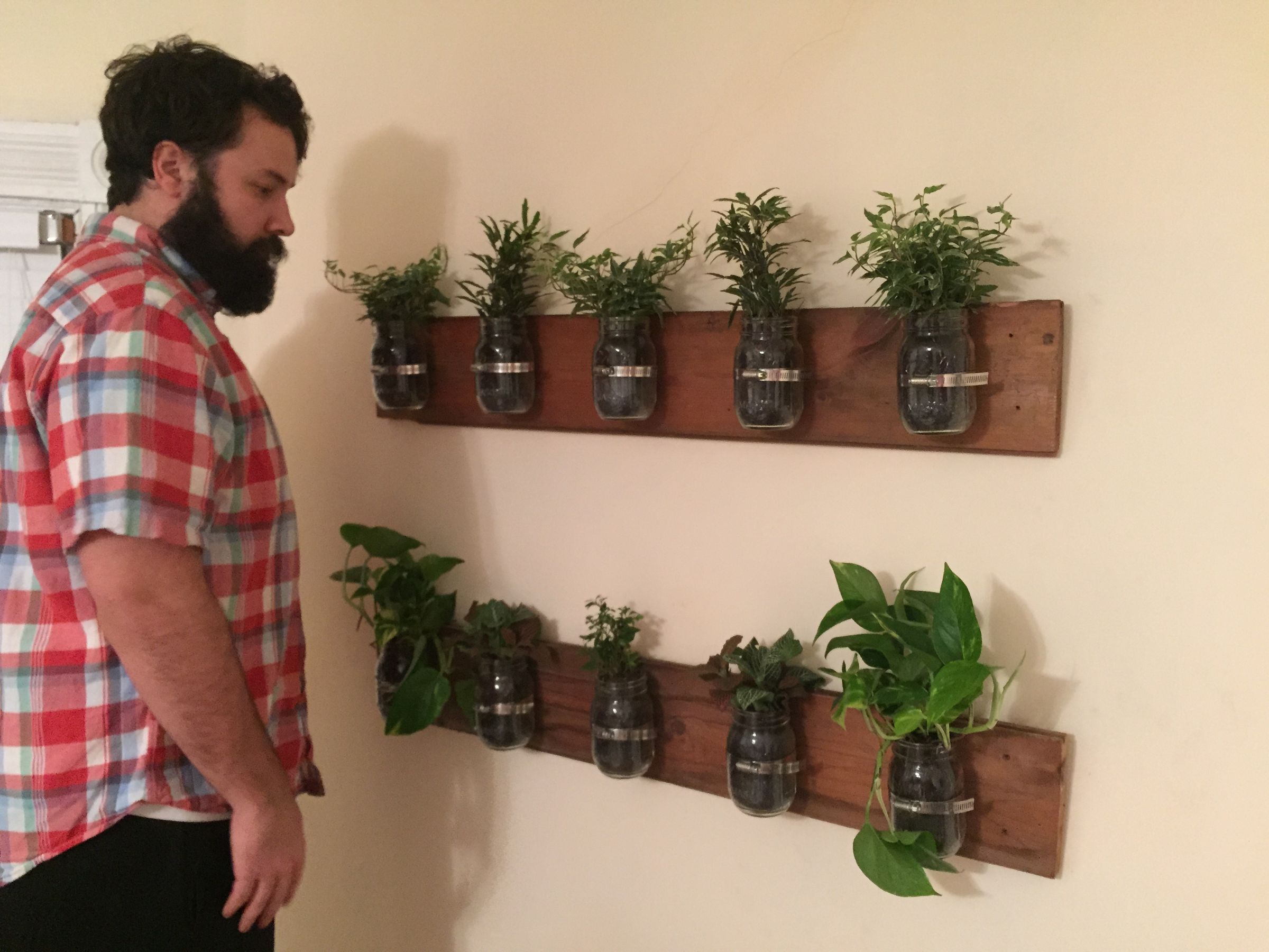 Mason Jar Planter : 5 Steps (with Pictures) - Instructables