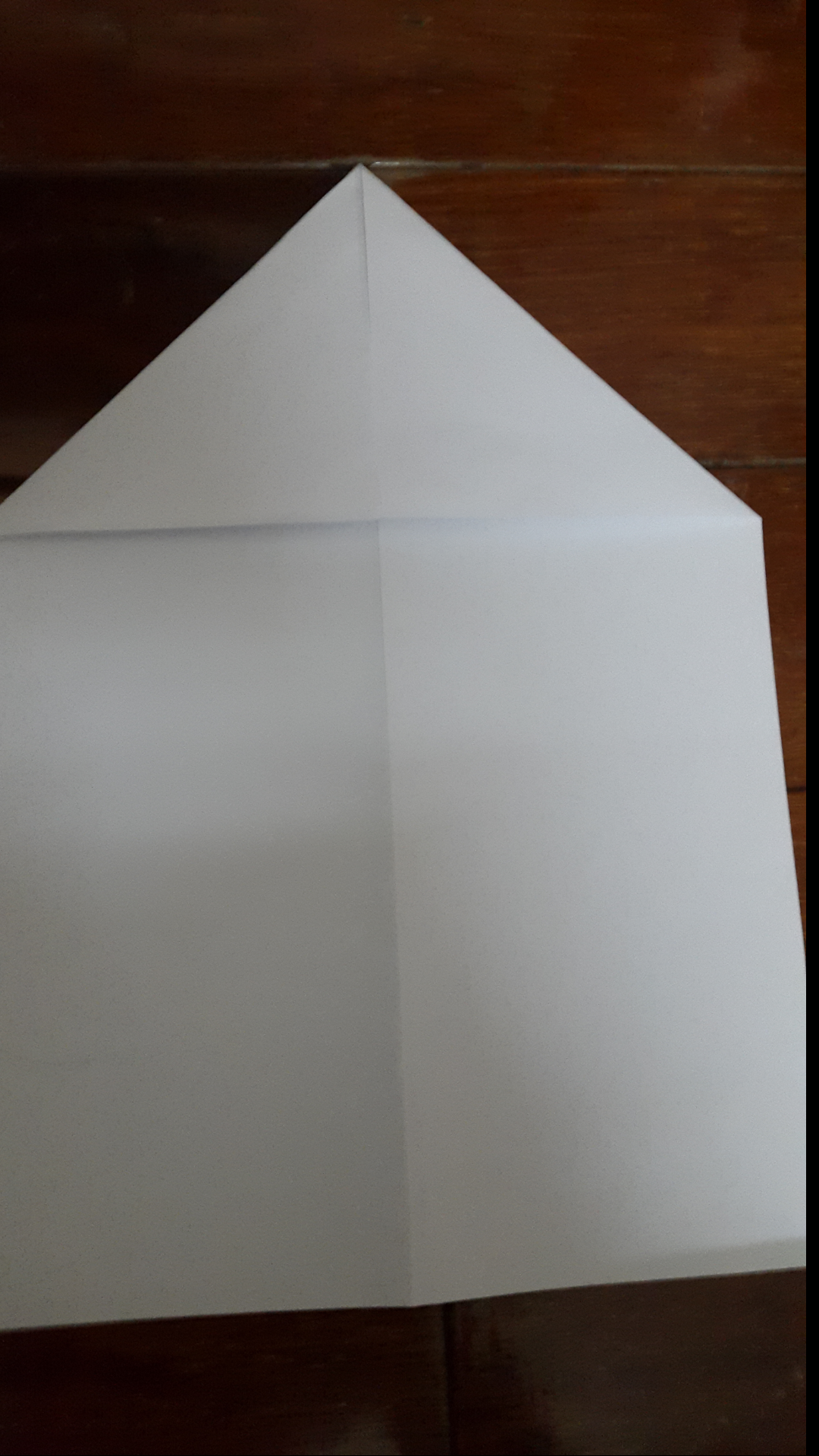 Paper Plane : 11 Steps - Instructables