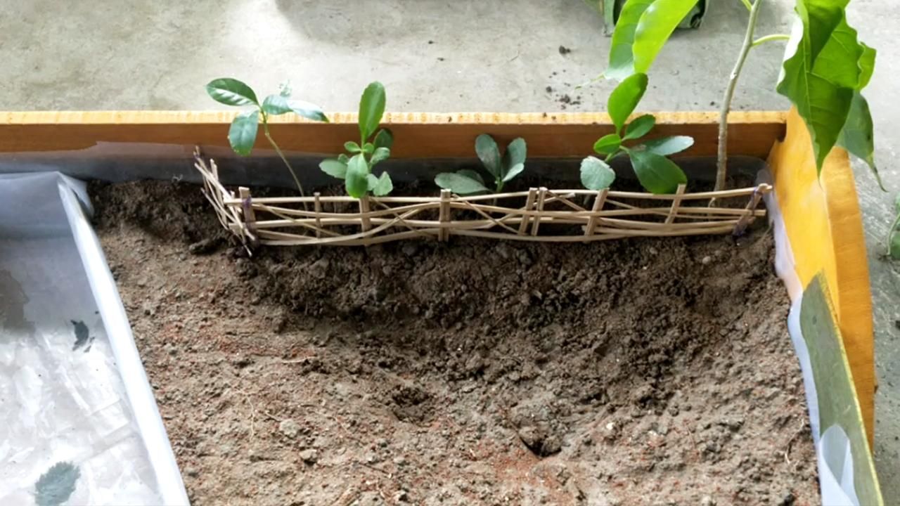 Turtle Habitat for Baby Turtles | Homemade Turtle Garden : 18 Steps ...