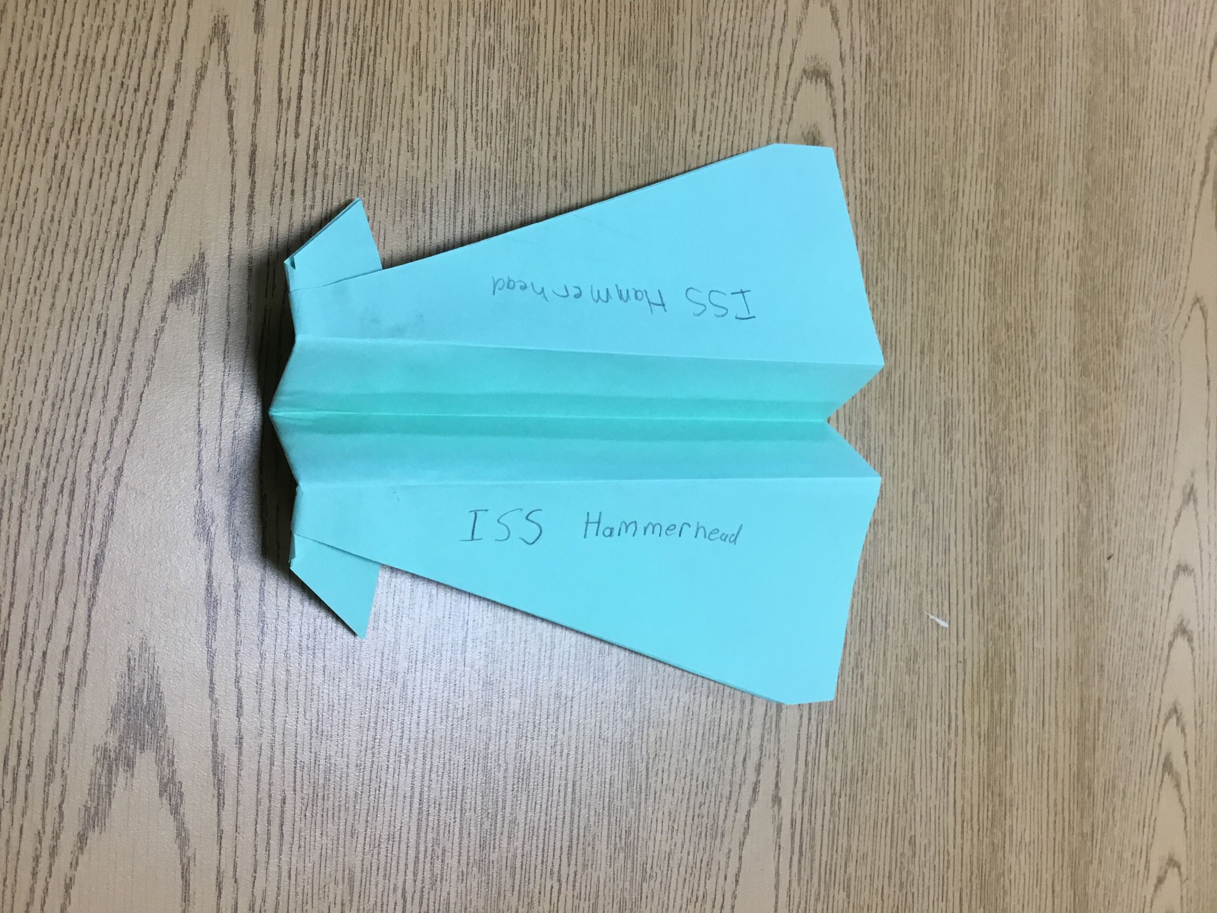 The Hammer Head Paper Airplane : 8 Steps - Instructables