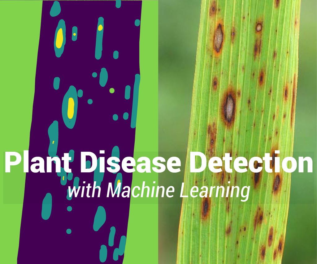 How to Detect Plant Diseases Using Machine Learning : 6 Steps ...