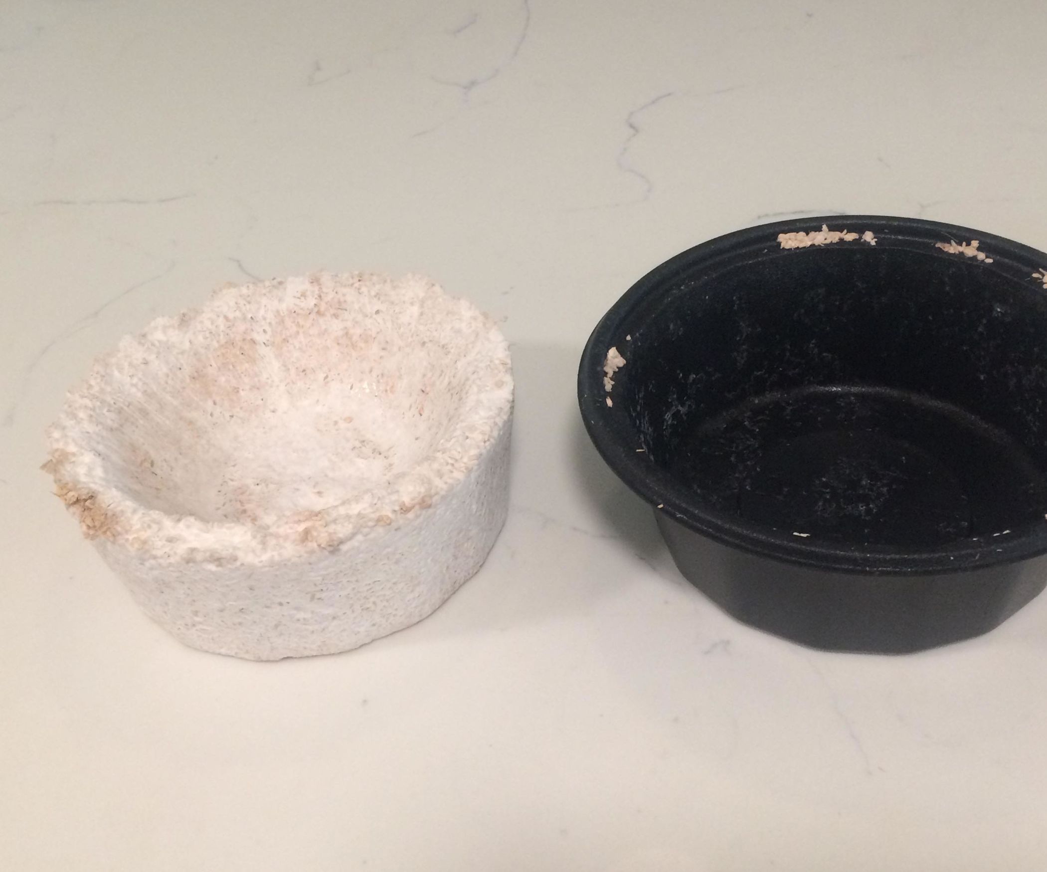 Mycelium Bowl : 12 Steps - Instructables