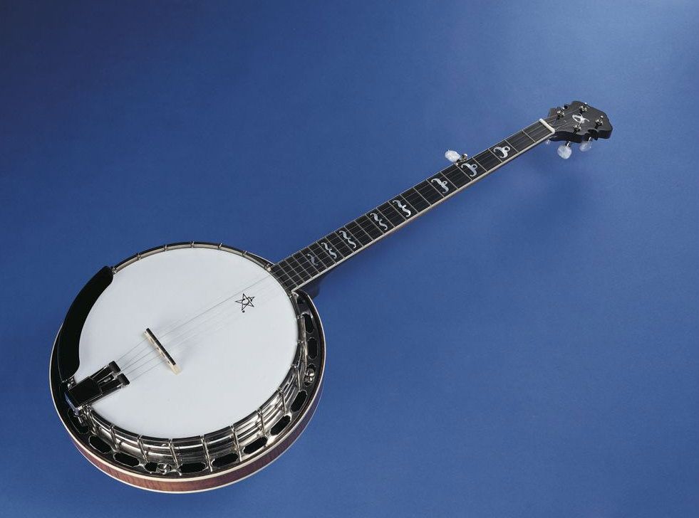 How to Build a Bluegrass-Style Five-String Banjo : 7 Steps - Instructables