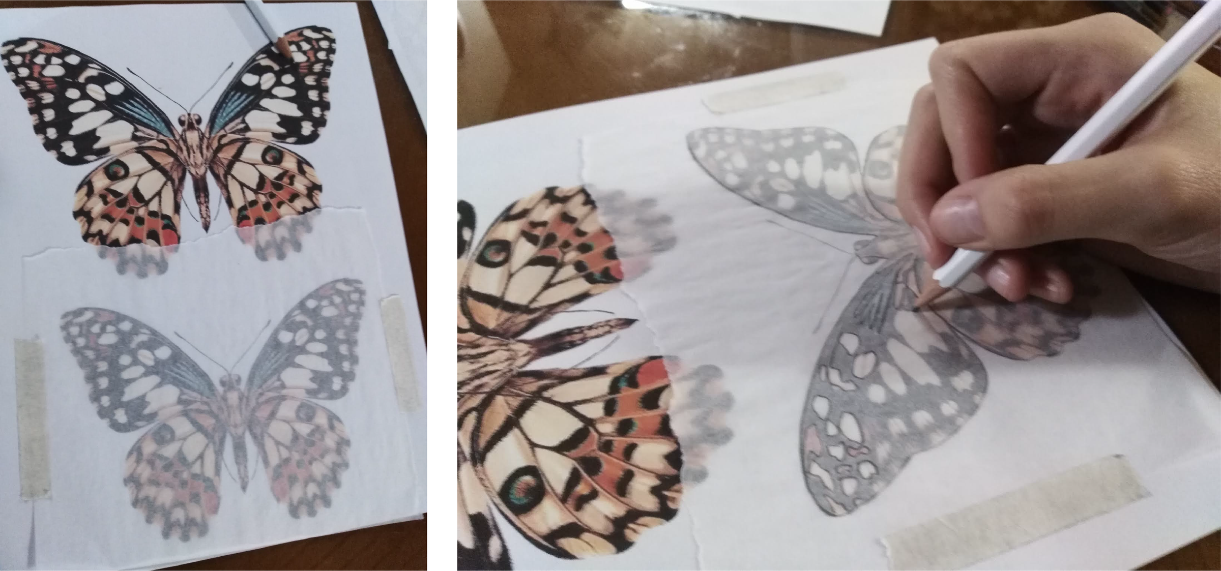 Make Your Own Butterfly Notebook : 9 Steps (with Pictures) - Instructables