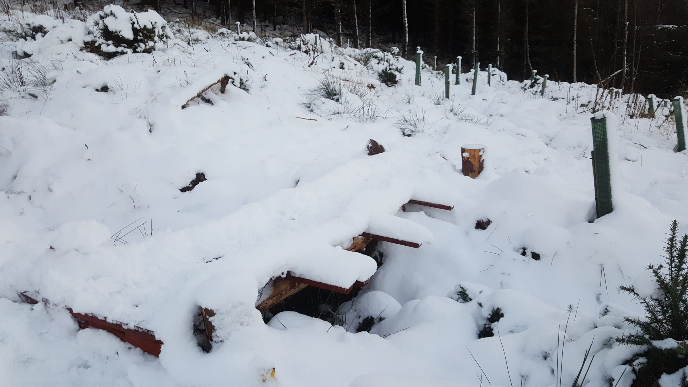 Log Pallet Bridge Introduction and Information : 13 Steps (with ...