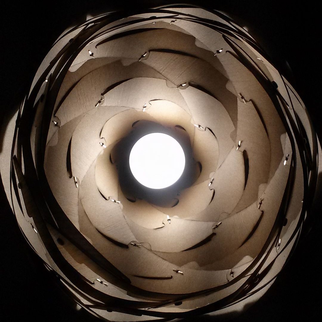 Bloom Parametric Pendant Lamp : 10 Steps (with Pictures) - Instructables