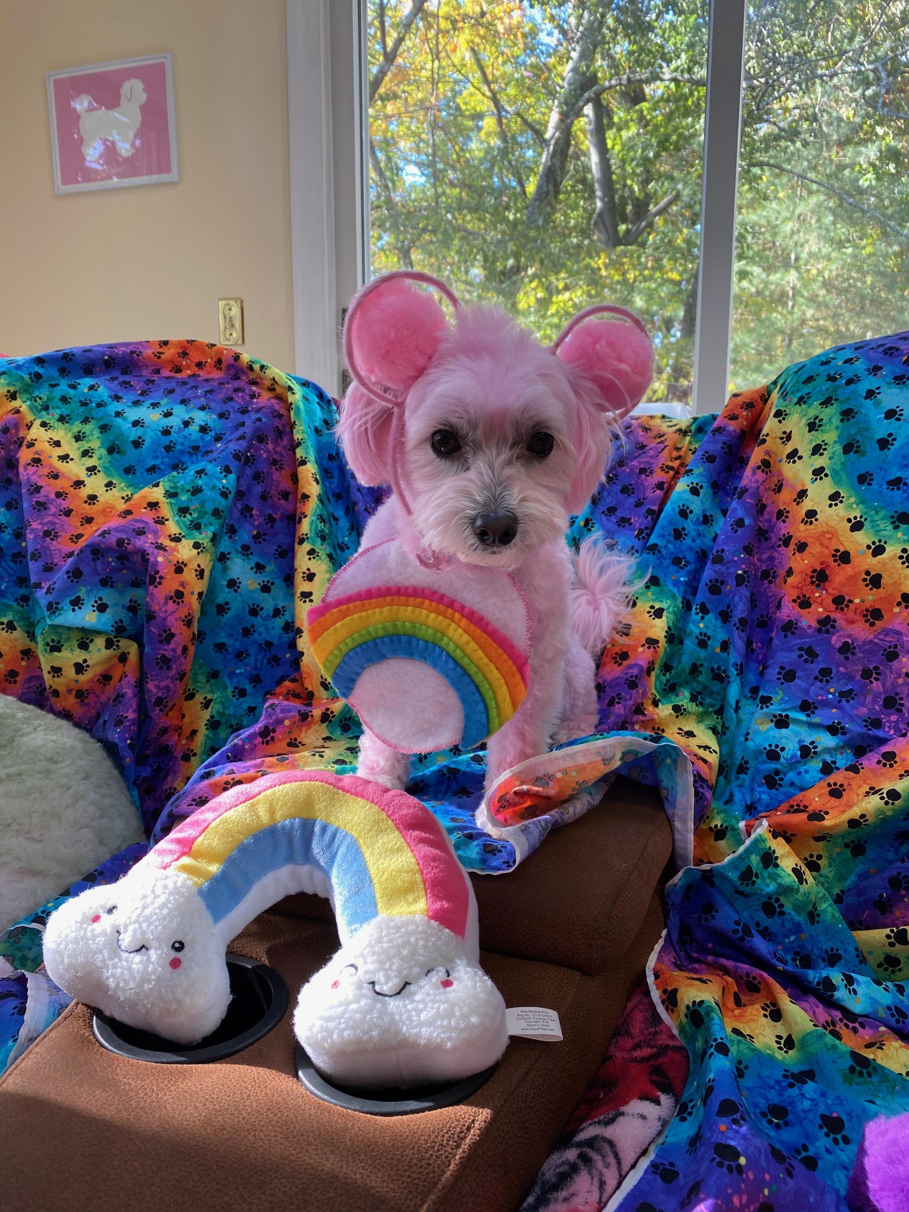 2020 Care Bear Reboot : 4 Steps - Instructables
