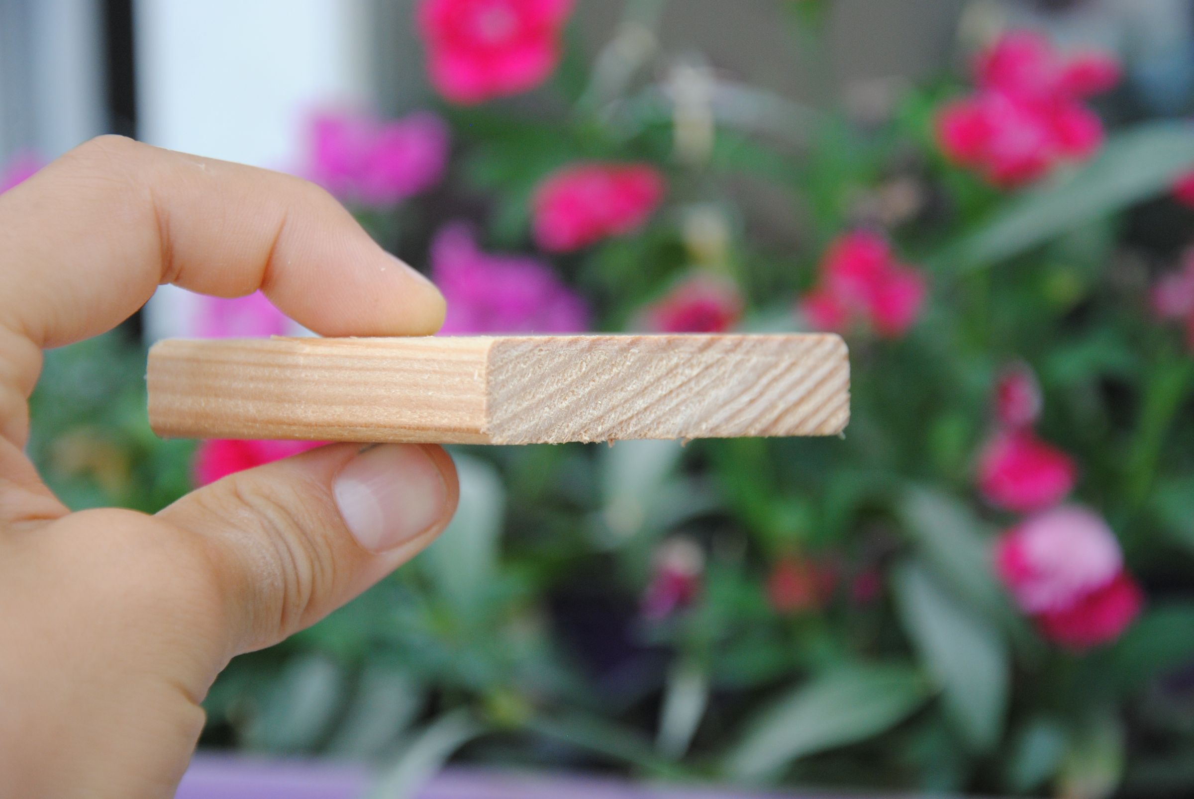 Impossible Screw in a Block of Wood : 8 Steps (with Pictures ...