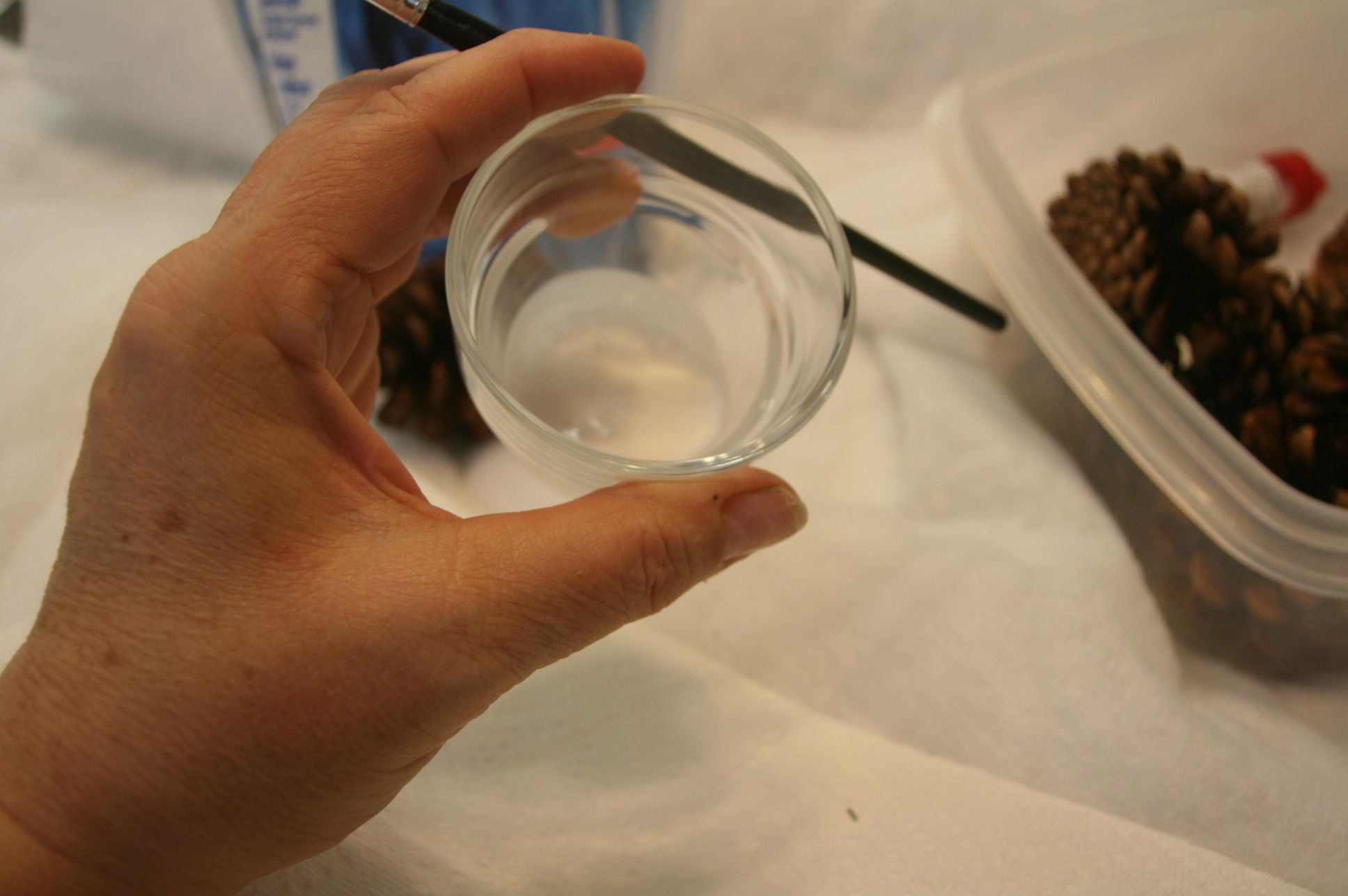 EASY & INEXPENSIVE DIY Snowballs & Snow Covered Pine Cones : 5 Steps ...