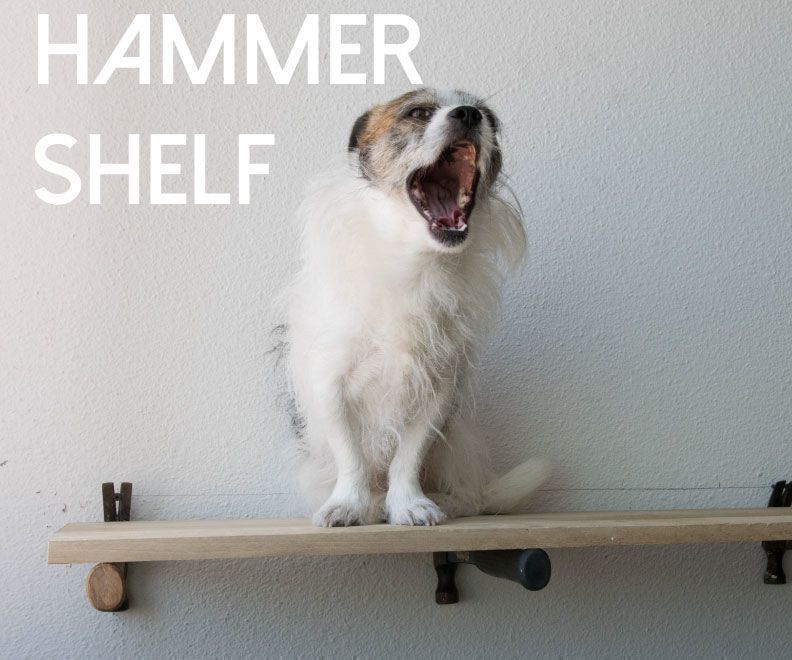 The Hammer Shelf : 12 Steps (with Pictures) - Instructables