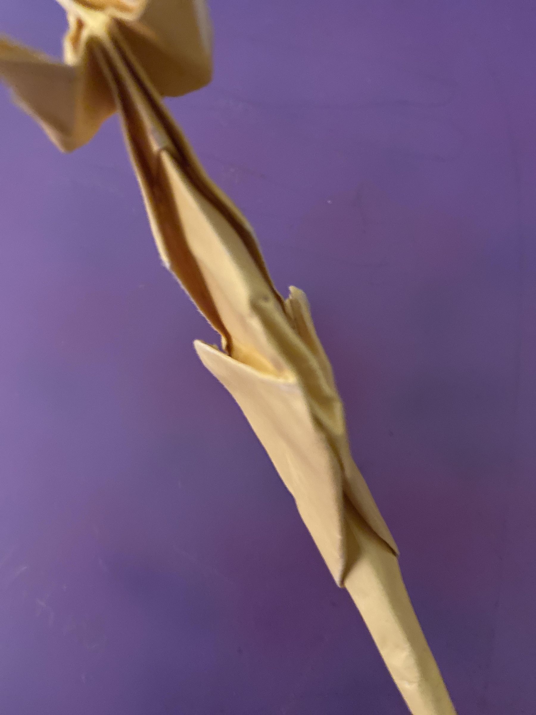 Origami Rat : 27 Steps - Instructables