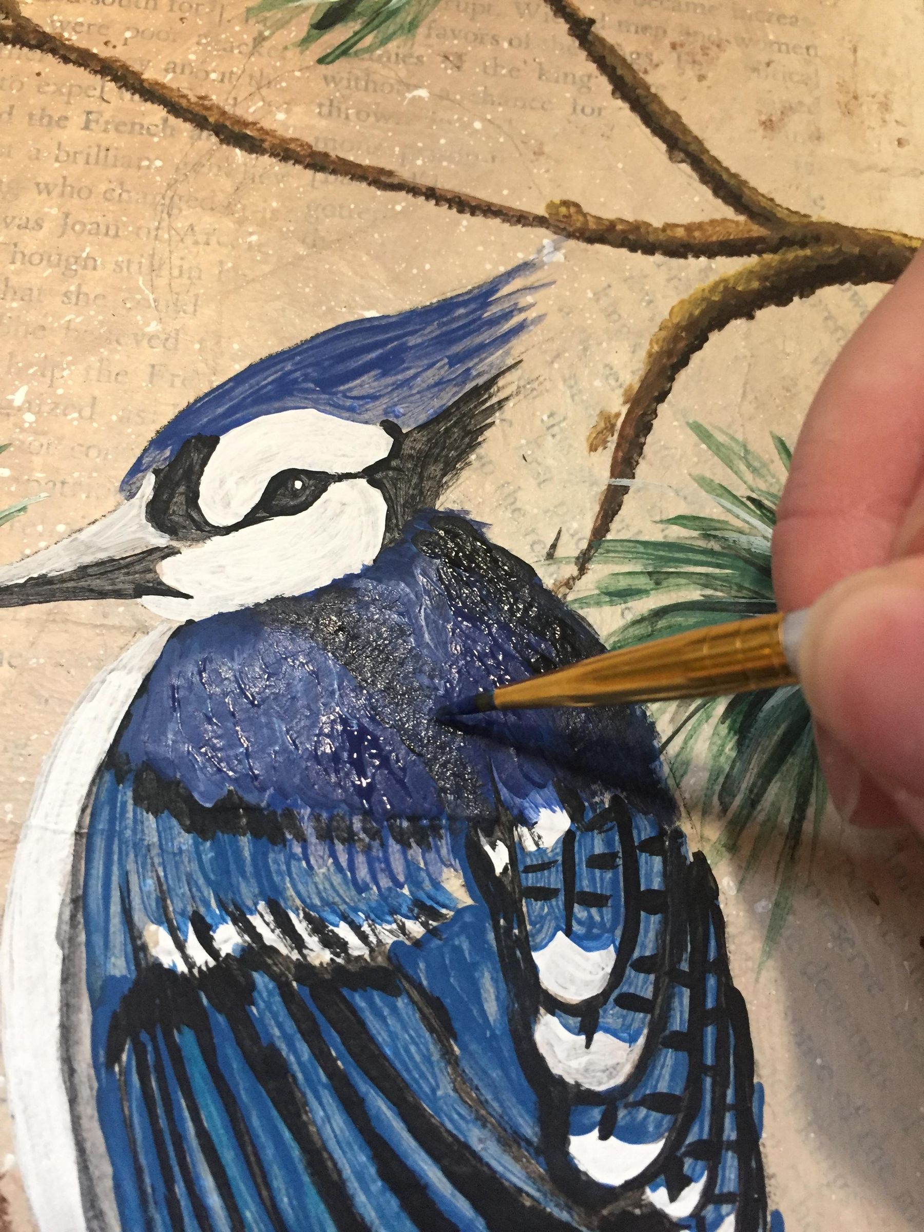 How to Paint a Blue Jay on a Branch. : 13 Steps (with Pictures ...