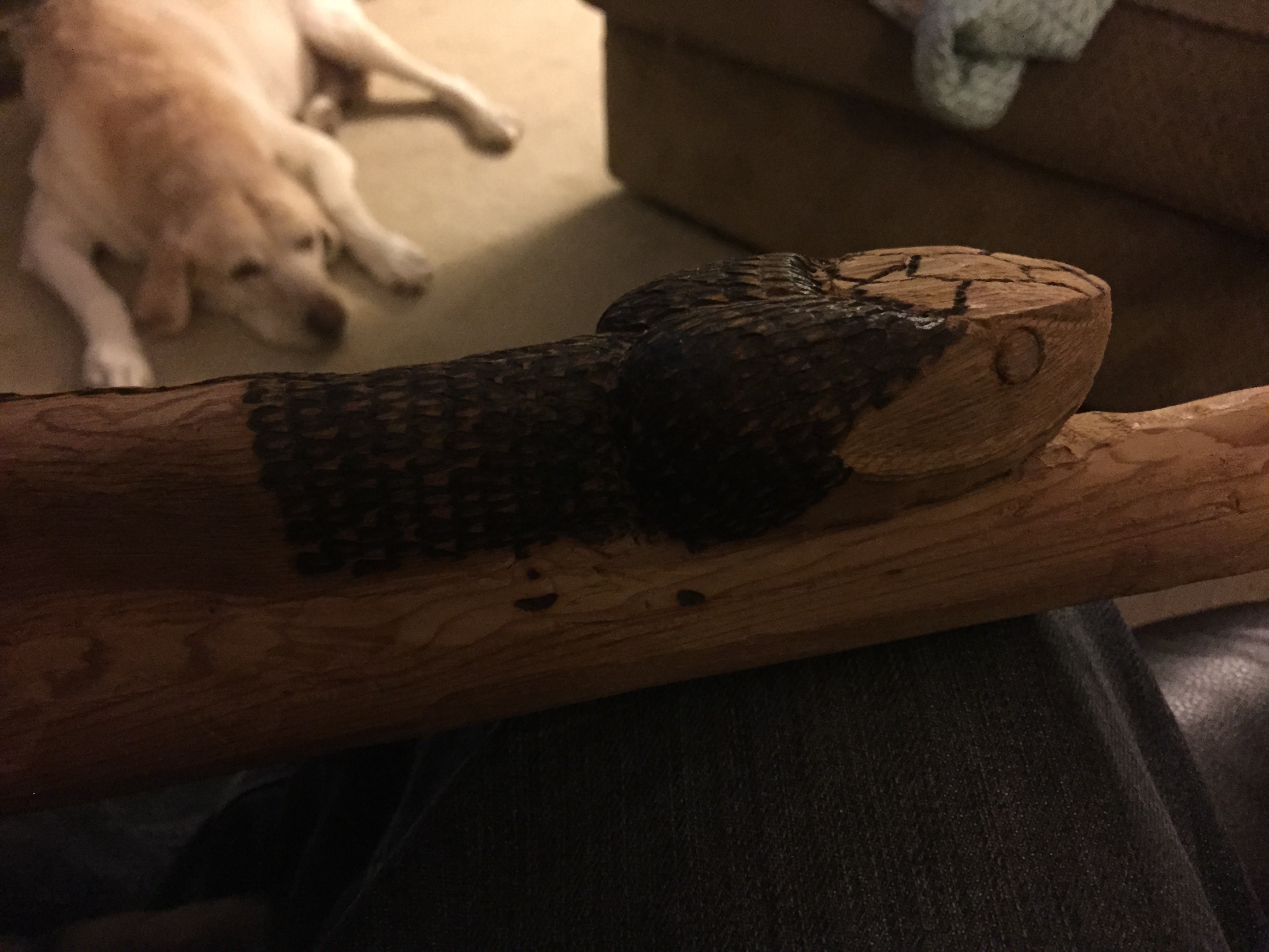 Carved Snake Cedar Walking Stick : 9 Steps (with Pictures) - Instructables