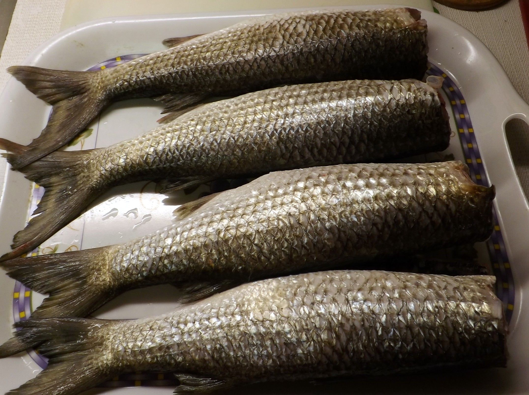 STRIPED MULLET, FRIED MY WAY! : 4 Steps - Instructables