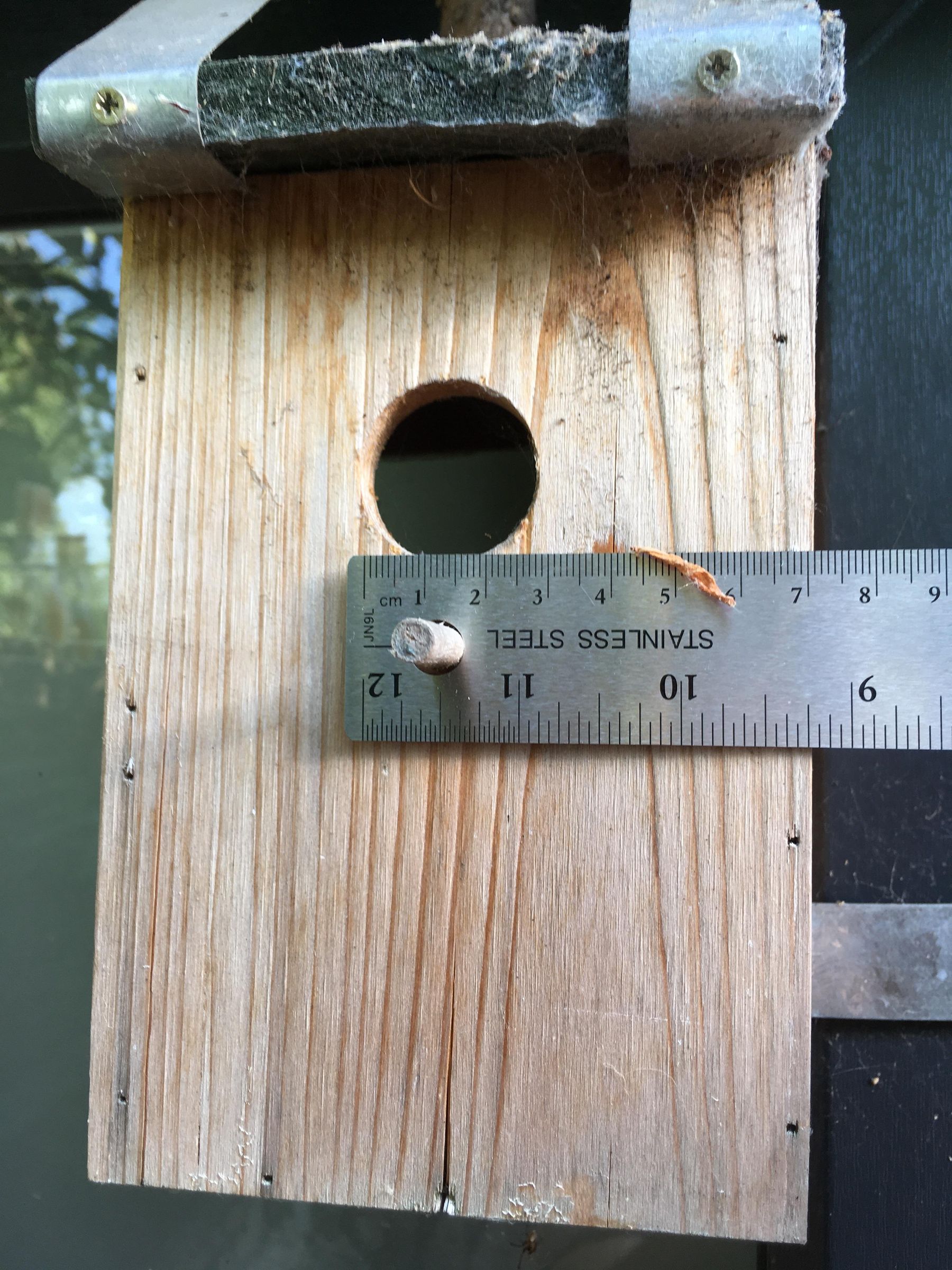 Squirrel Proof Bird Feeder Challenge : 43 Steps (with Pictures ...