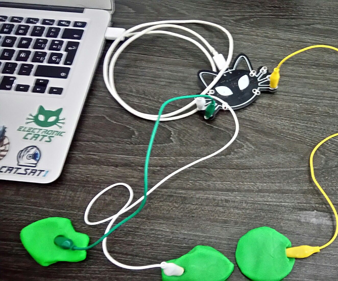Usar El Meow Meow Como Un Mouse : 5 Steps - Instructables