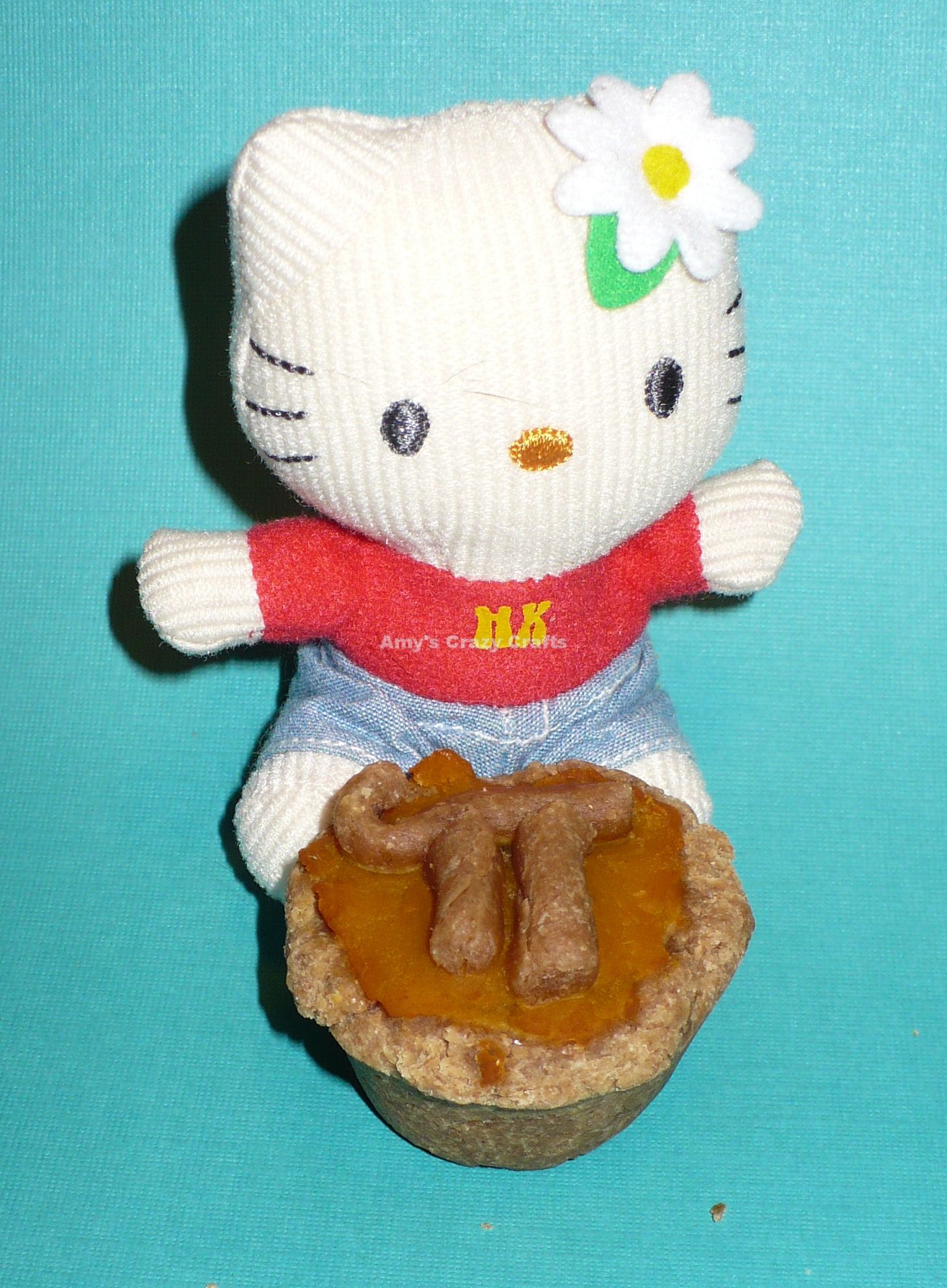Pi Pie for Your Pets : 8 Steps (with Pictures) - Instructables