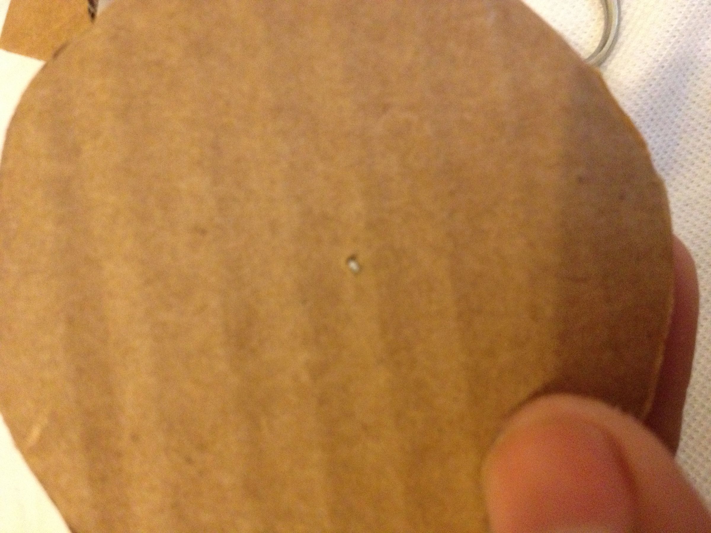 How to Make an Electroscope Easily : 12 Steps - Instructables