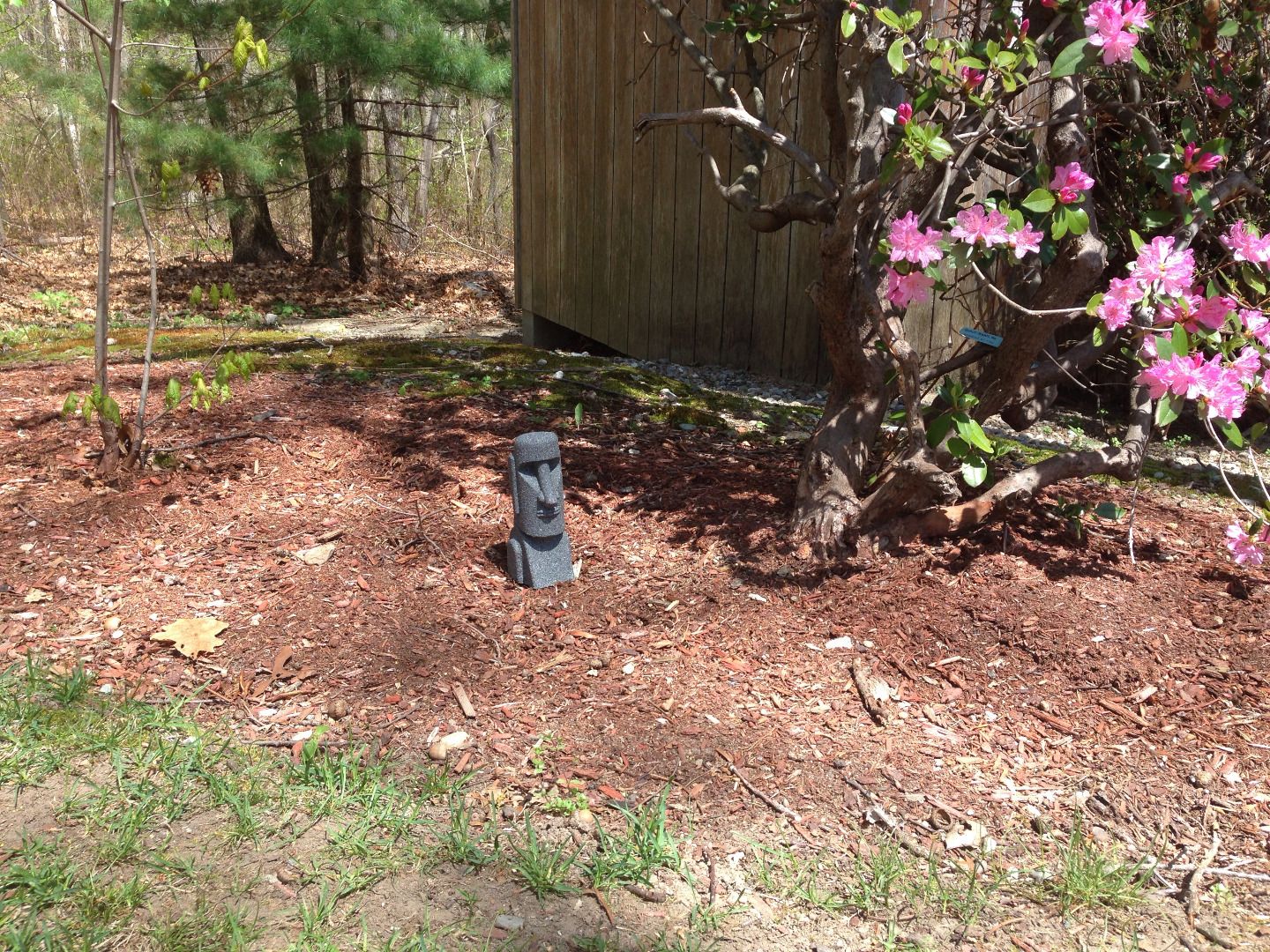 3D Printed Stone Head : 5 Steps (with Pictures) - Instructables