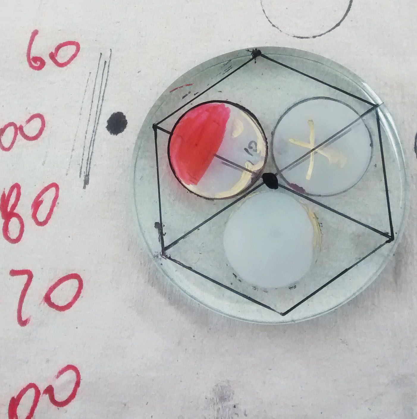 Lens Making : 5 Steps (with Pictures) - Instructables
