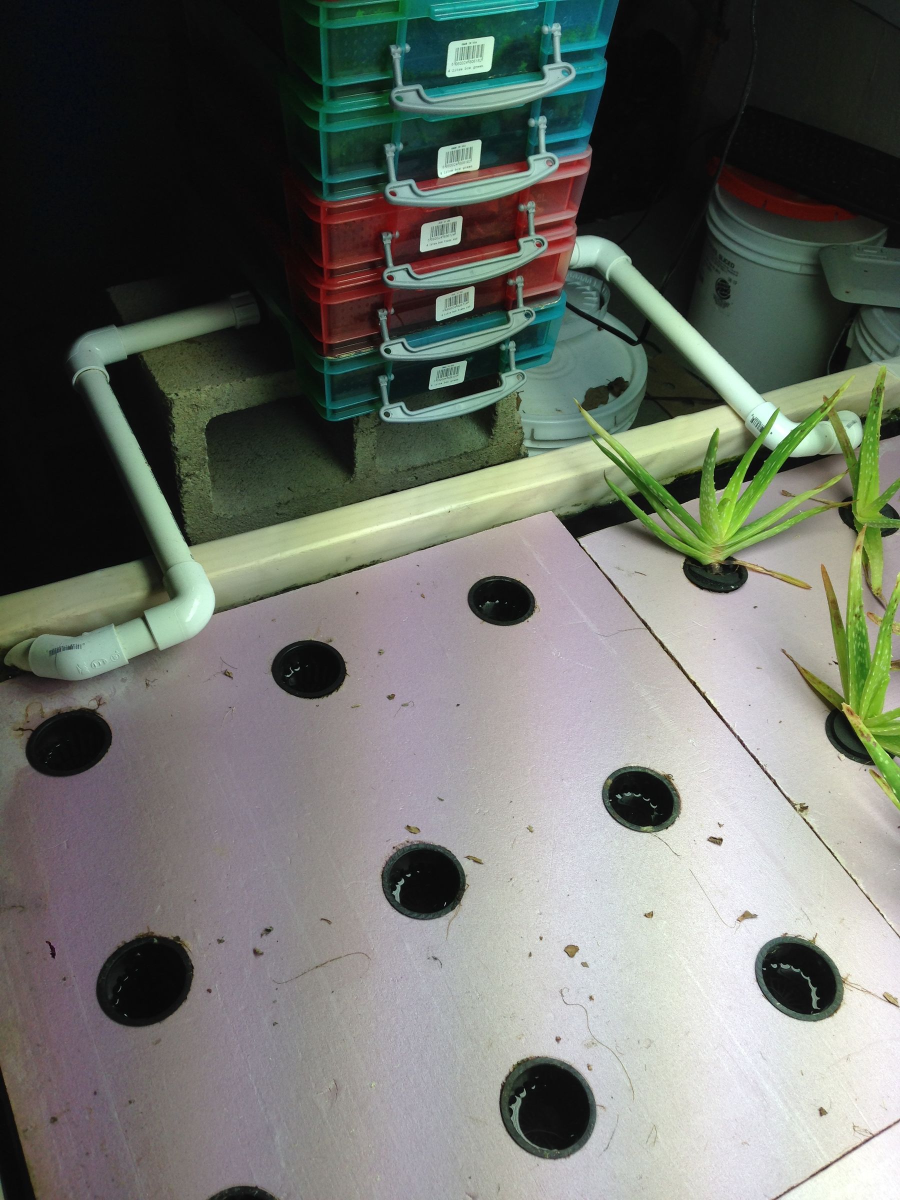 Hydroponic Raft System Update + Aquaponics - Instructables