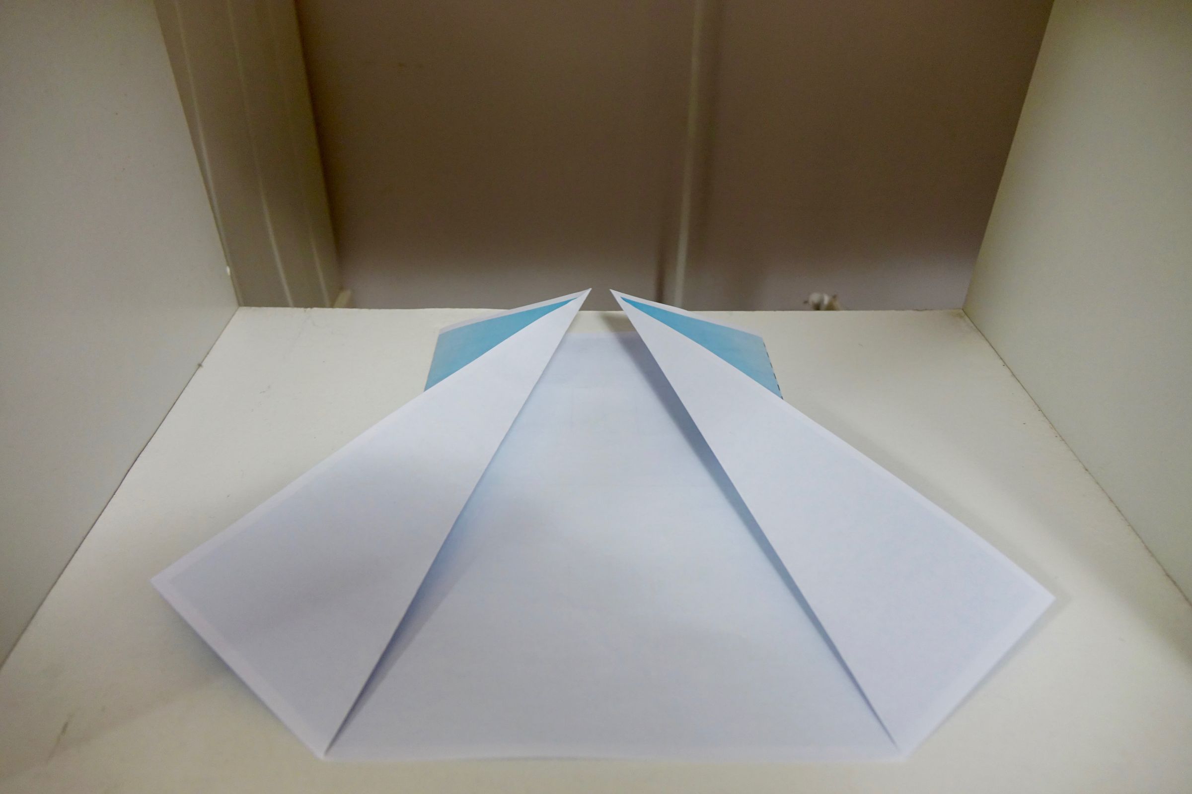 Flapping Paper Plane (Print Version) : 15 Steps (with Pictures ...