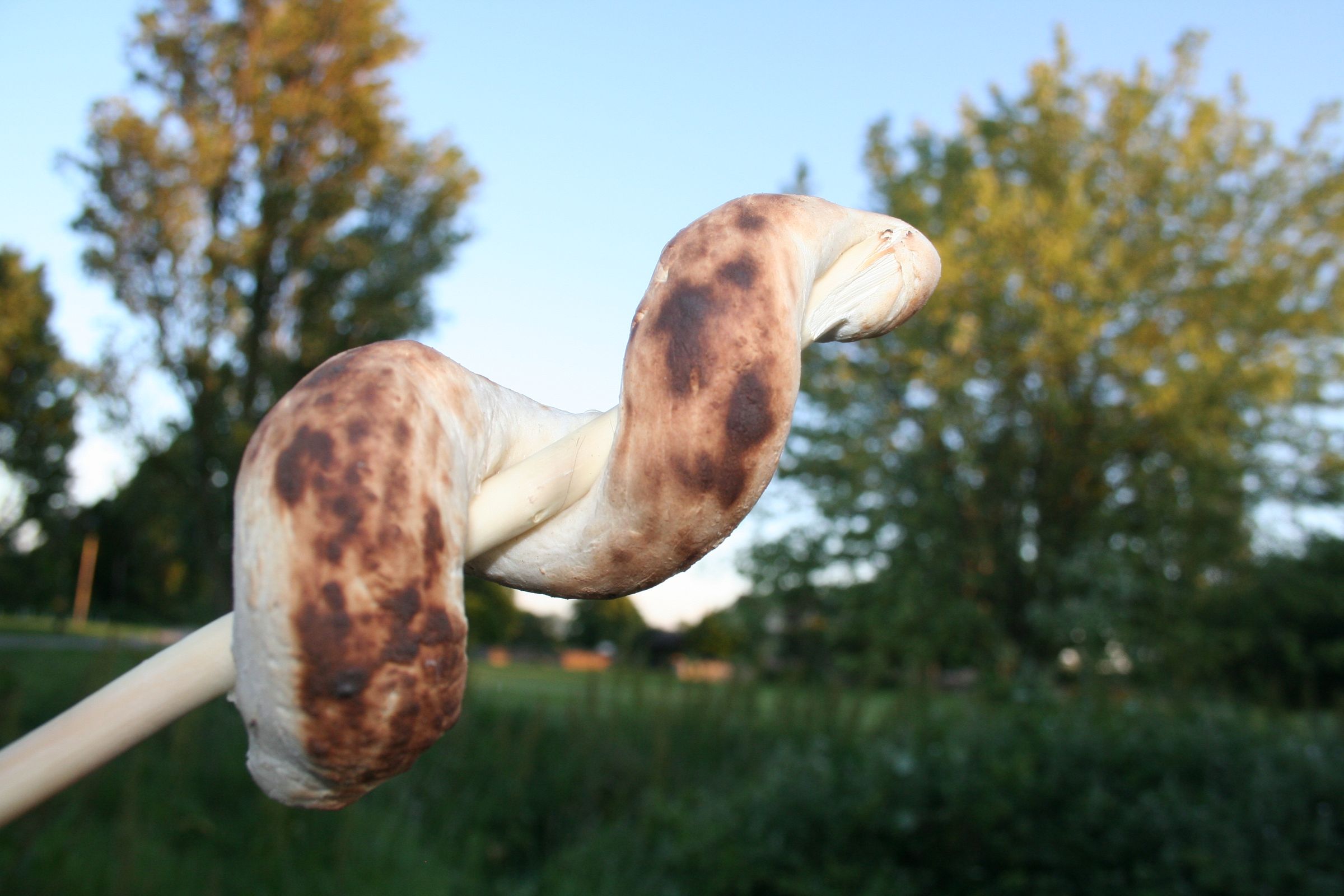 Making Campfire Twists : 5 Steps (with Pictures) - Instructables