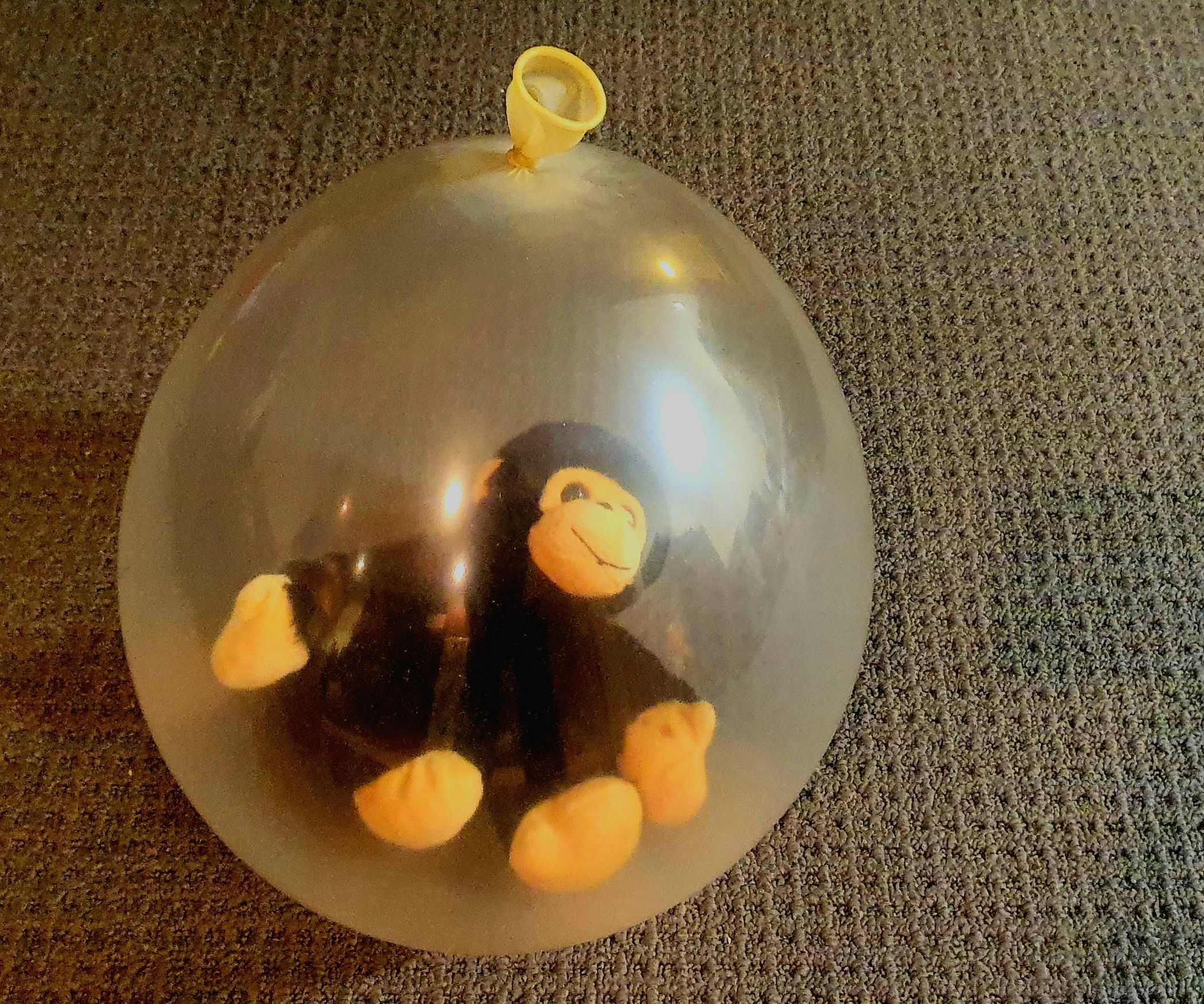 How to Fill a Balloon - Using an Empty Beverage Can : 8 Steps ...
