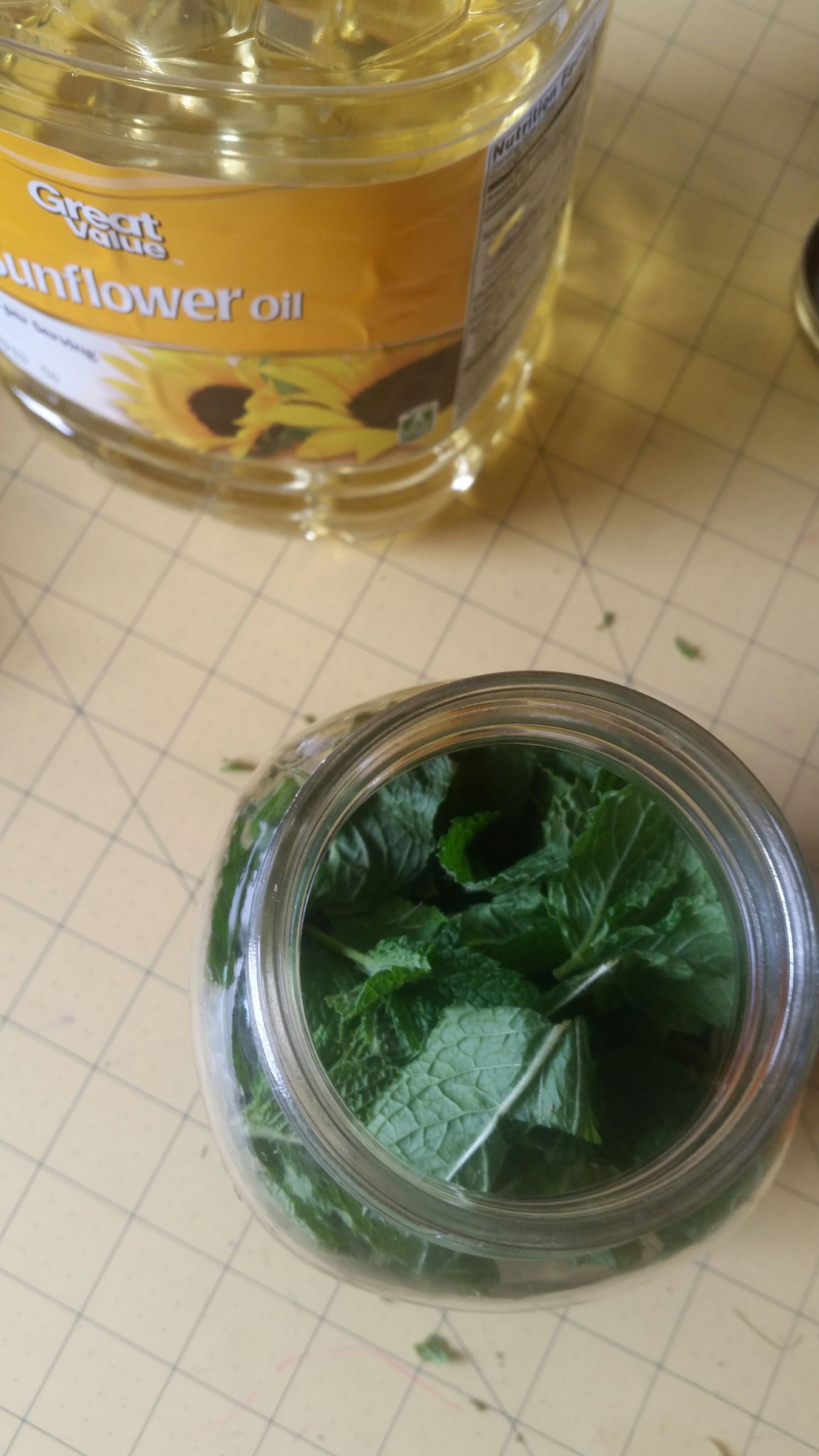 Homemade Herb Oils : 5 Steps (with Pictures) - Instructables