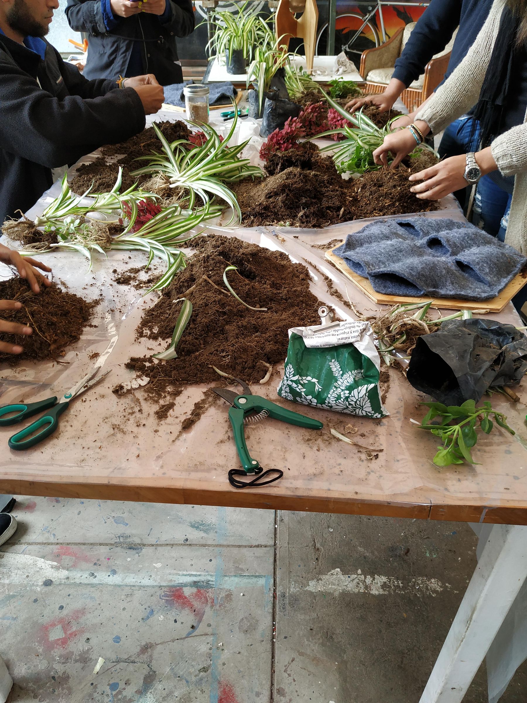 Modular DIY Vertical Garden : 7 Steps (with Pictures) - Instructables