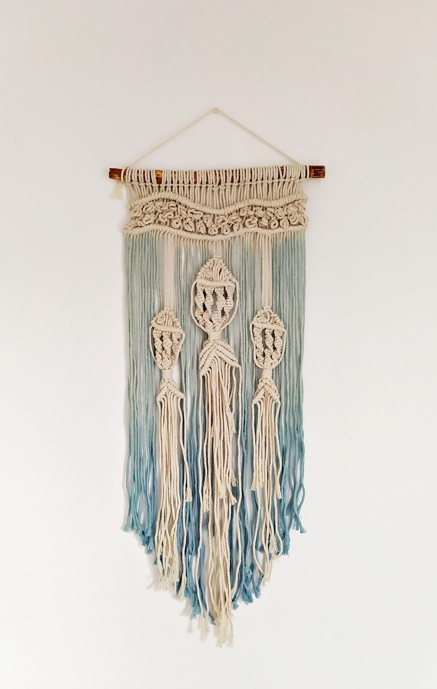 Macrame Fish Wall Hanging Made From Rope Scraps : 15 Steps (with ...