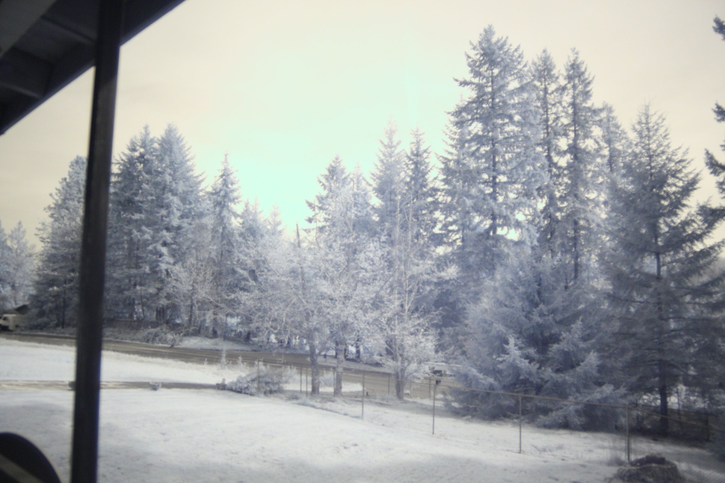 (near) Infrared Photography : 6 Steps - Instructables