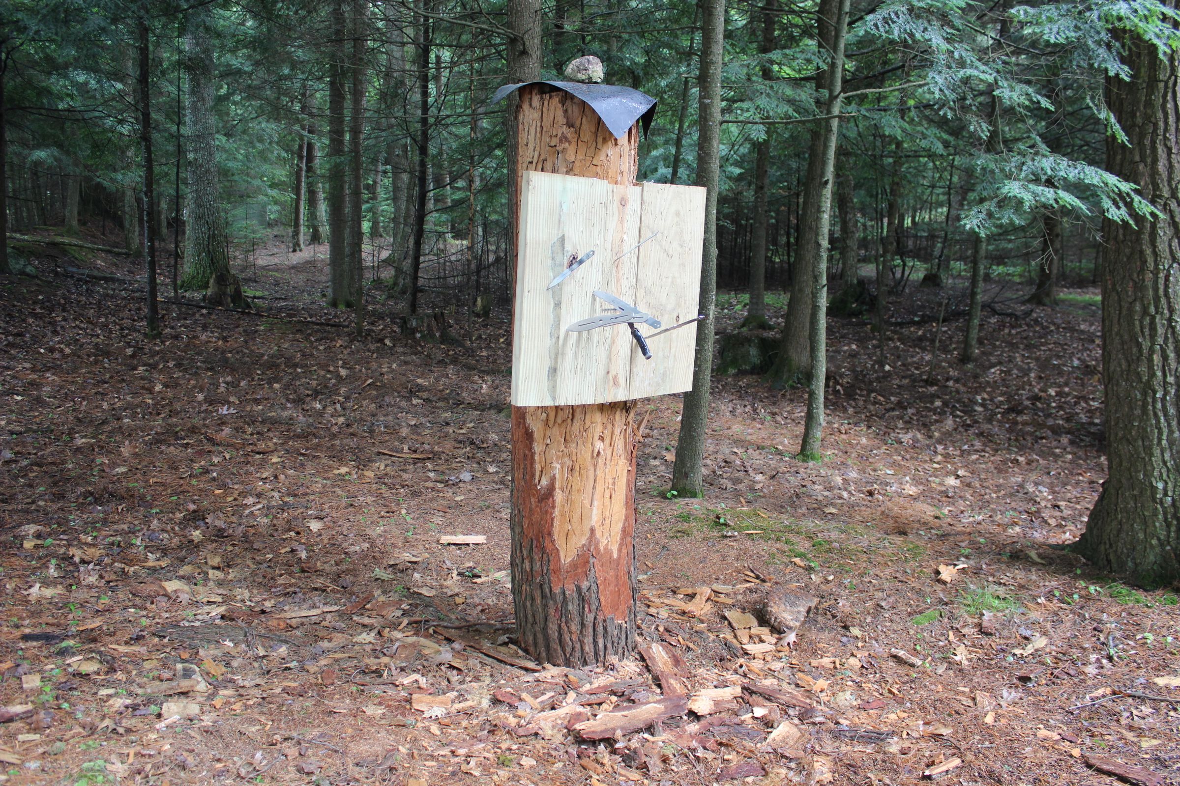 How to Throw Throwing Knives : 7 Steps (with Pictures) - Instructables