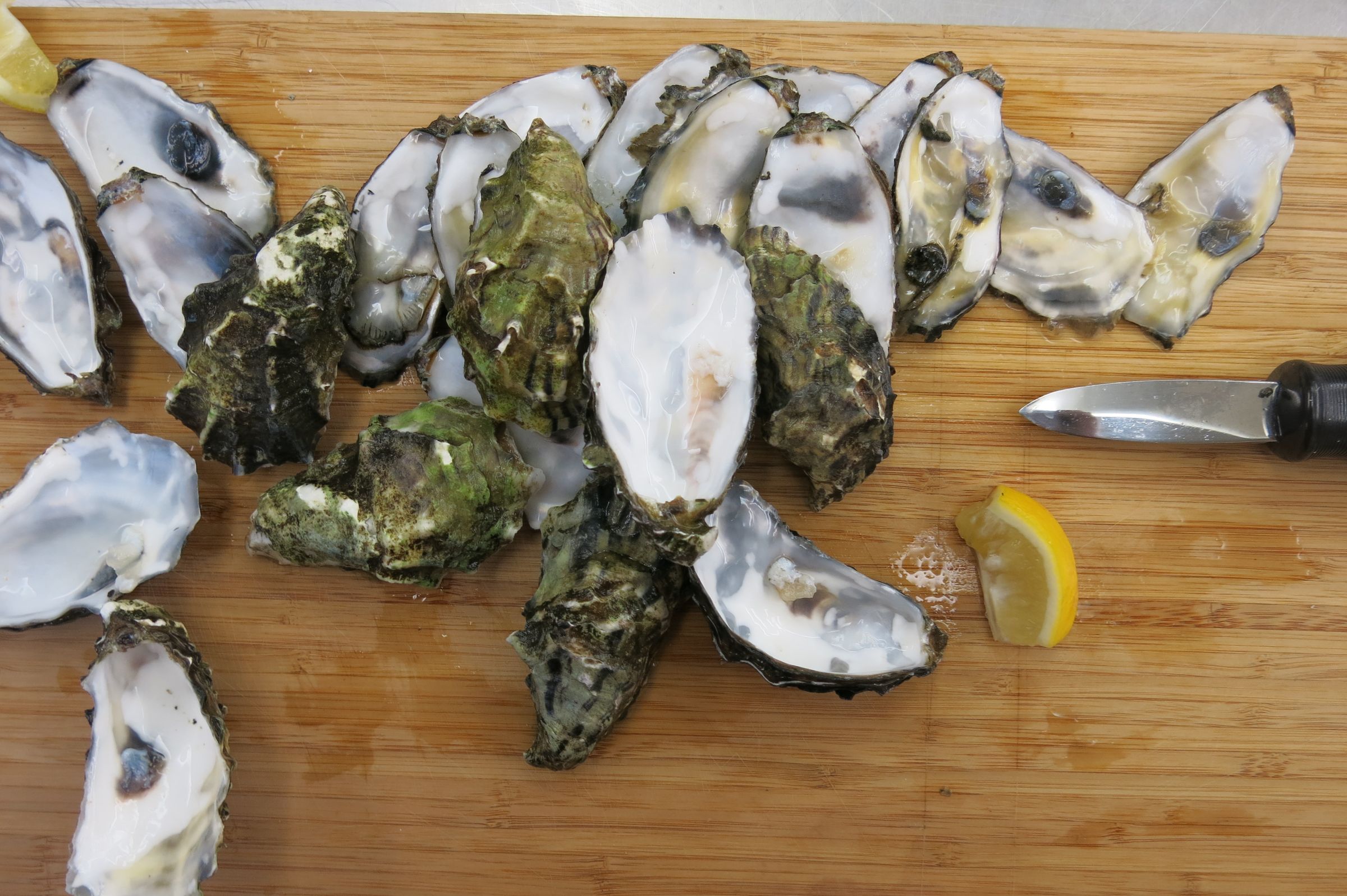 How to Open Oysters : 4 Steps (with Pictures) - Instructables