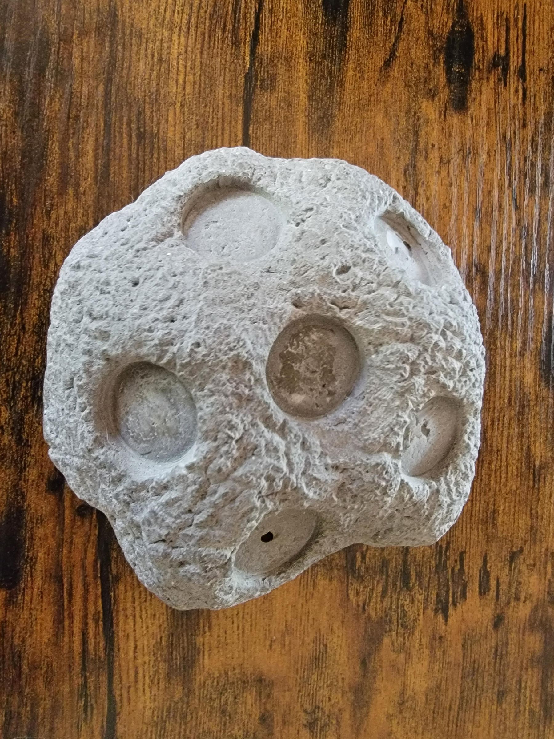 Magnetic Naturalistic Frag Rack : 6 Steps (with Pictures) - Instructables