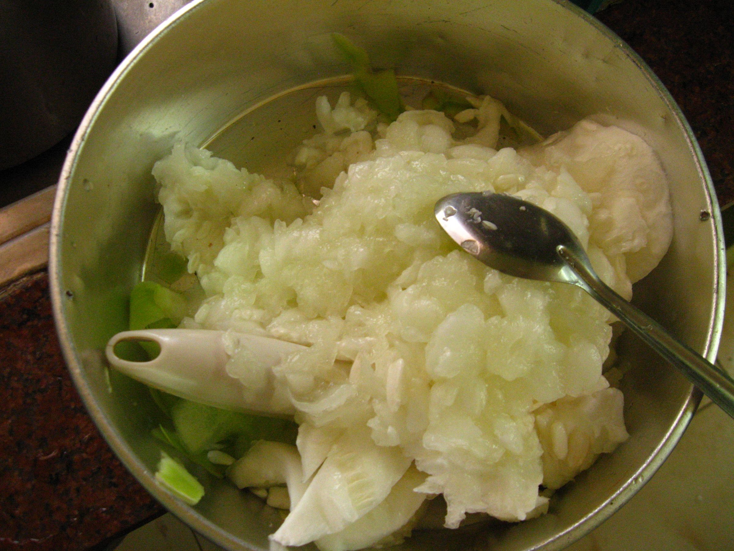 Seed Germination With Bottle Gourd Shell As Planter : 6 Steps (with ...