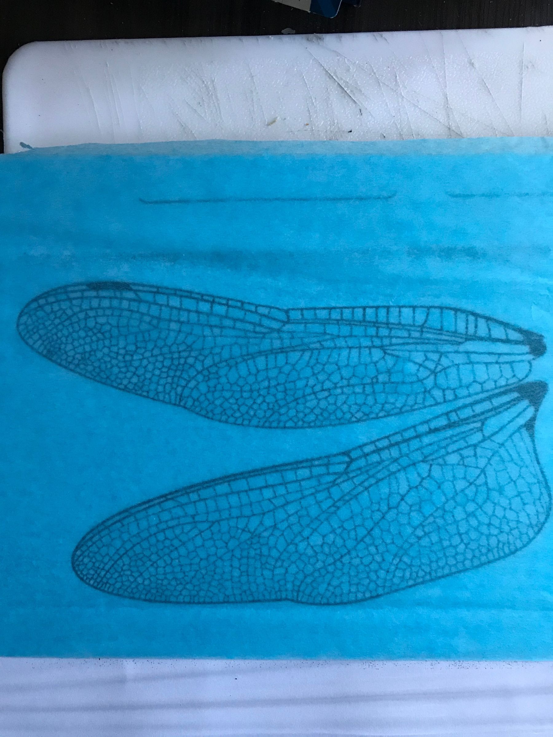 Paper Animatronic Dragonfly : 11 Steps (with Pictures) - Instructables