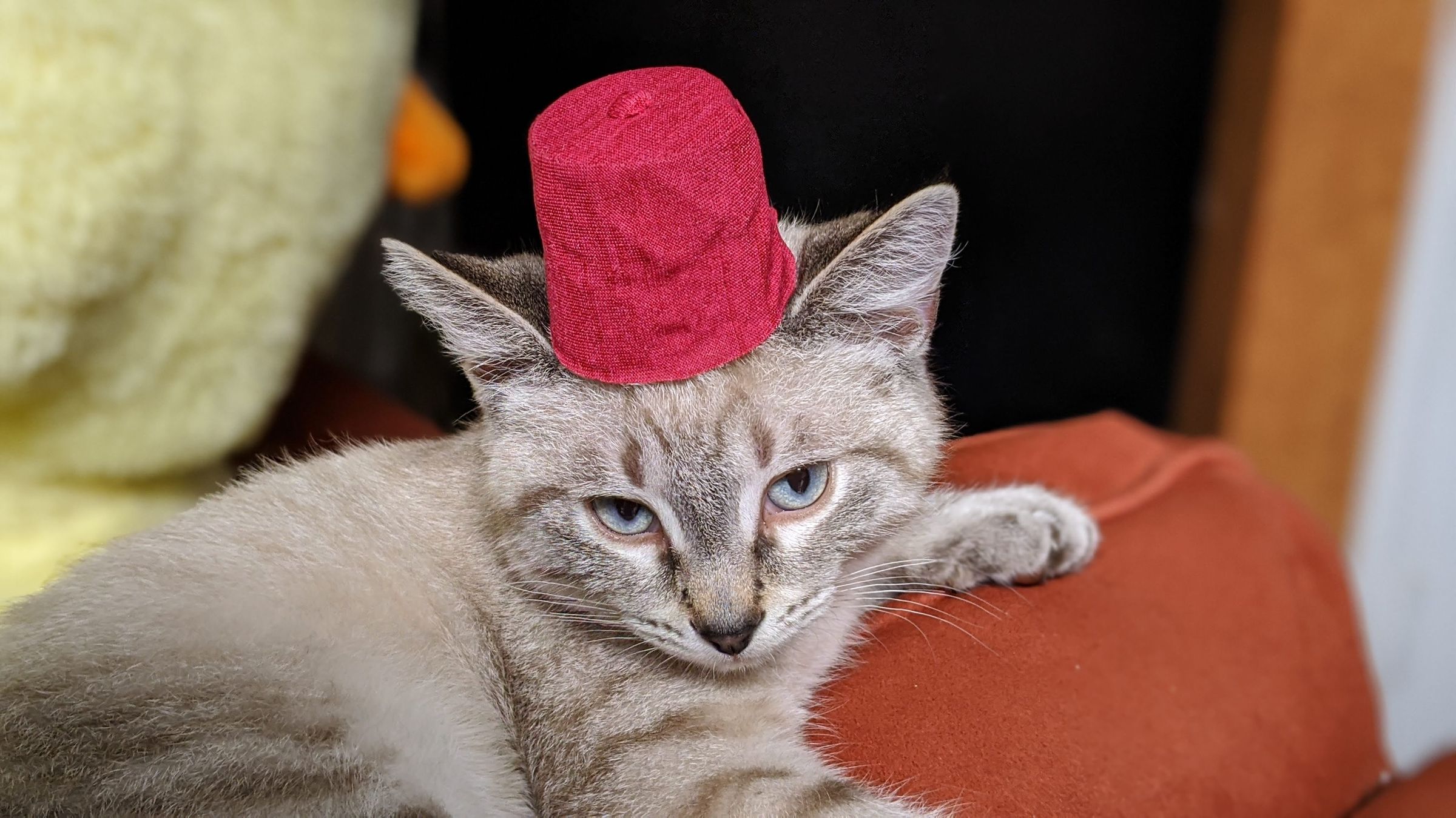 Tiny Hats : 18 Steps (with Pictures) - Instructables