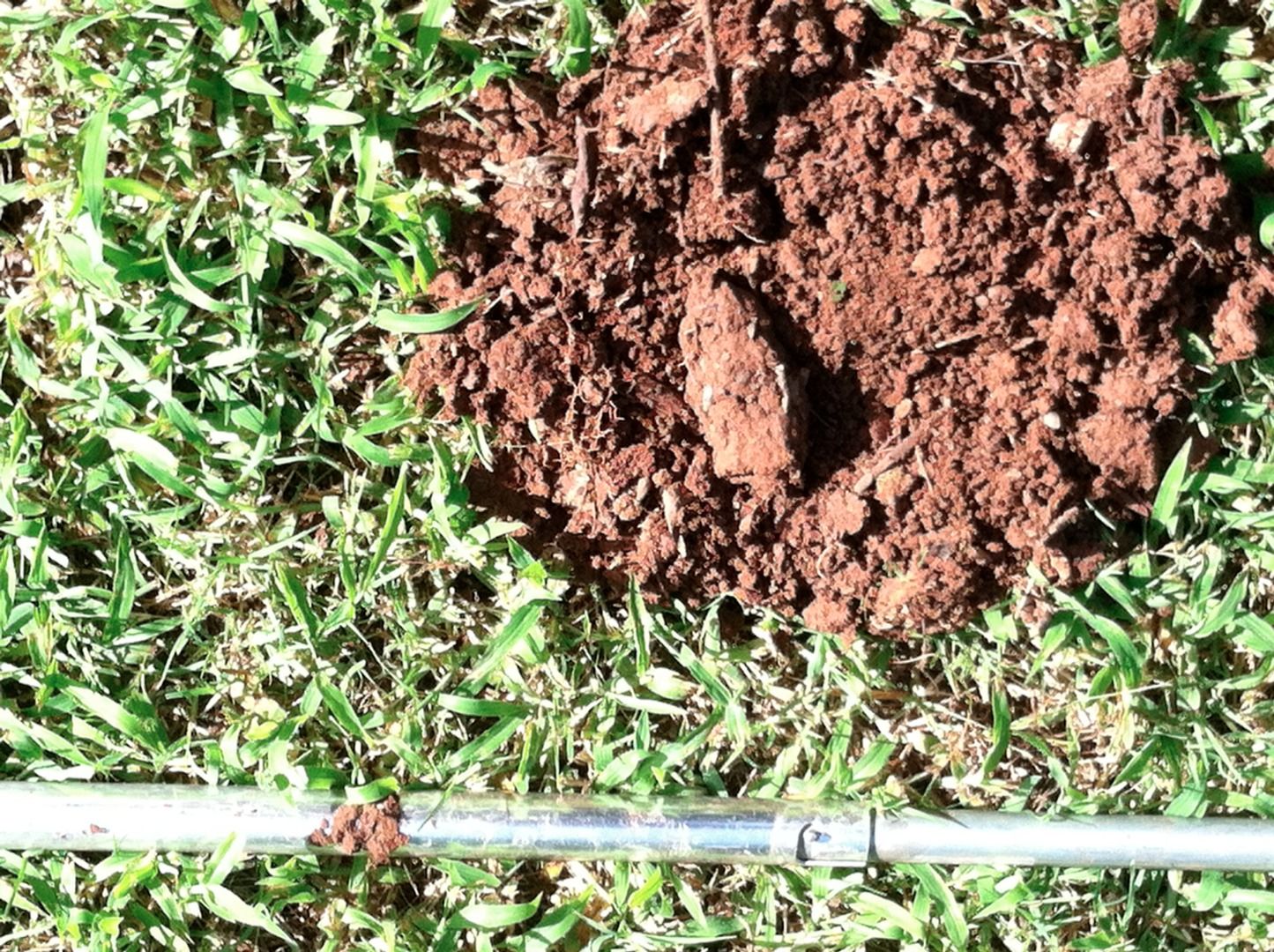 GOPHER BAIT TOOL : 4 Steps - Instructables