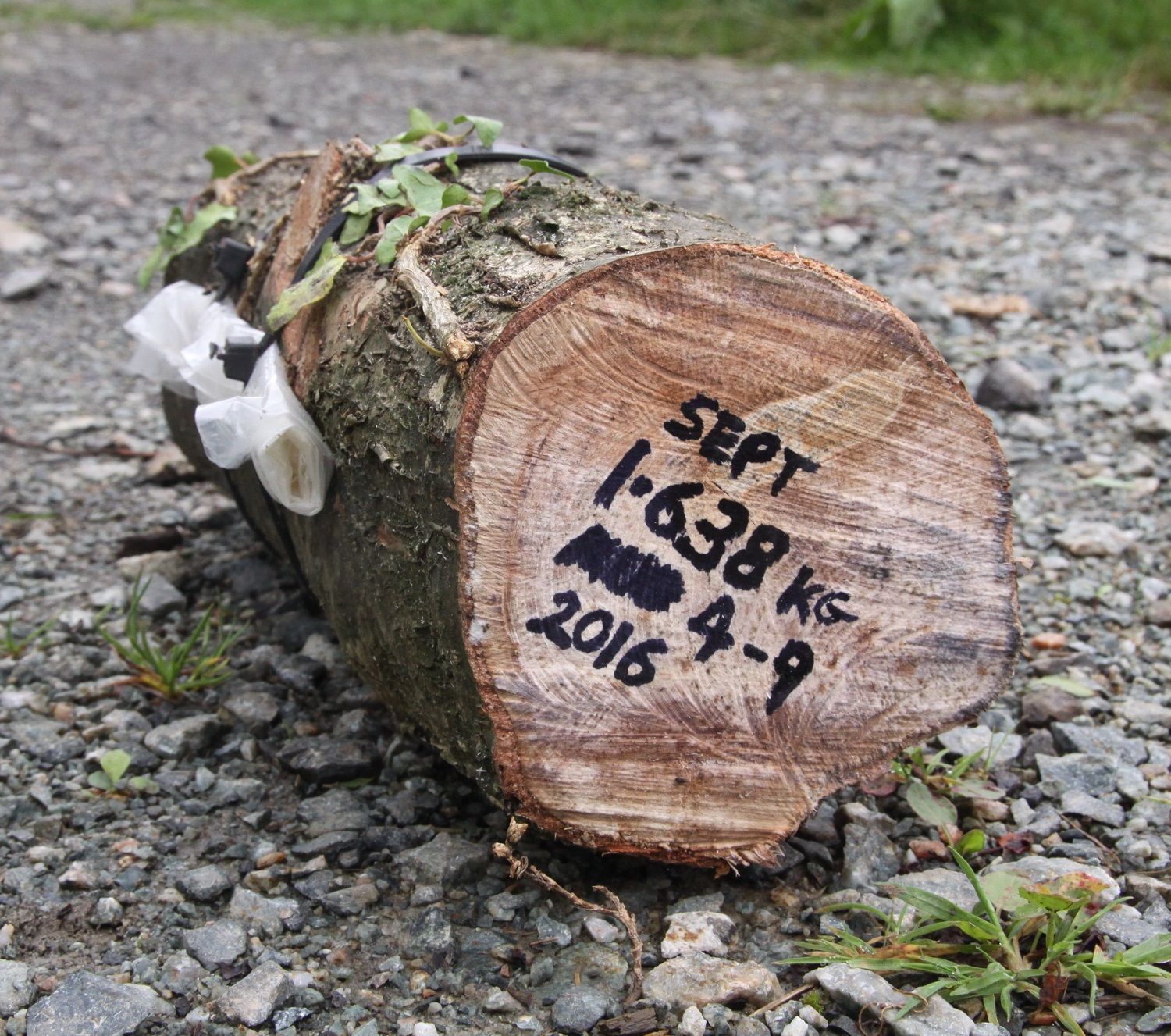 How to Stack and Ventilate Firewood With Pallet Wrap : 18 Steps (with ...