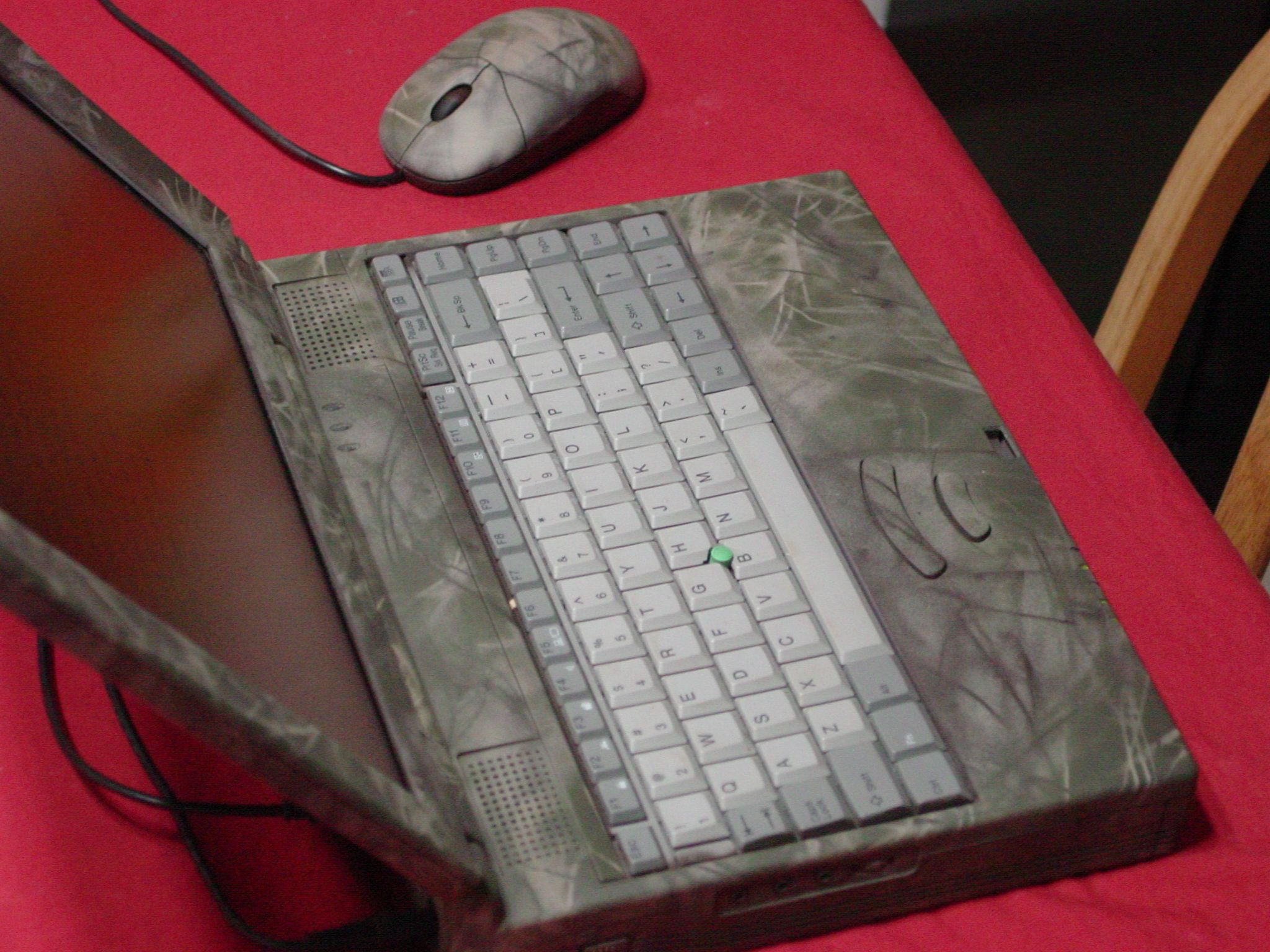 High-Tech Pine Needle Camo Painted LapTop Computer : 5 Steps ...