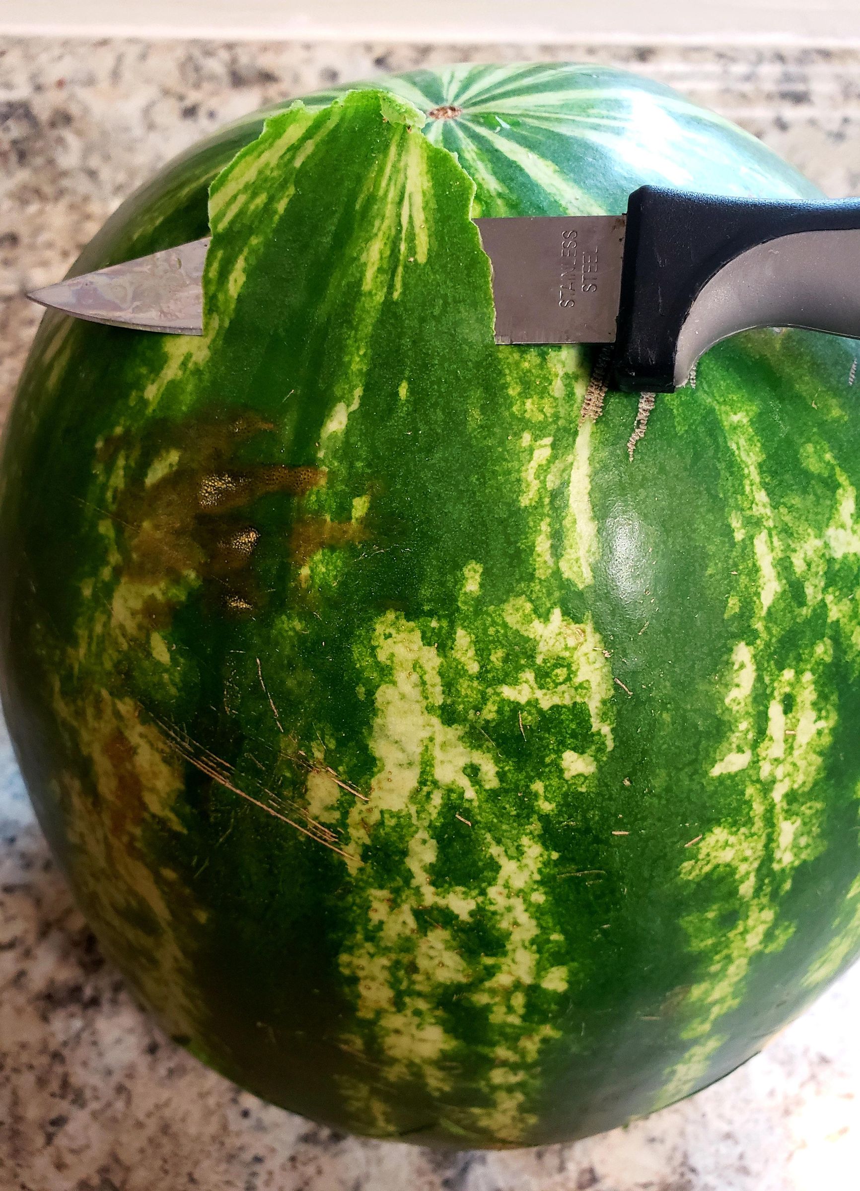 Watermelon Lotus Flower Carving! : 17 Steps (with Pictures) - Instructables